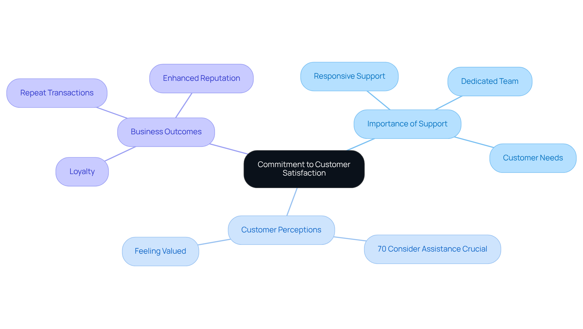The central idea is customer satisfaction, with branches showing how support impacts customer feelings and business success. Each branch highlights key points that contribute to a positive shopping experience. The central idea is customer satisfaction, with branches showing how support impacts customer feelings and business success. Each branch highlights key points that contribute to a positive shopping experience.