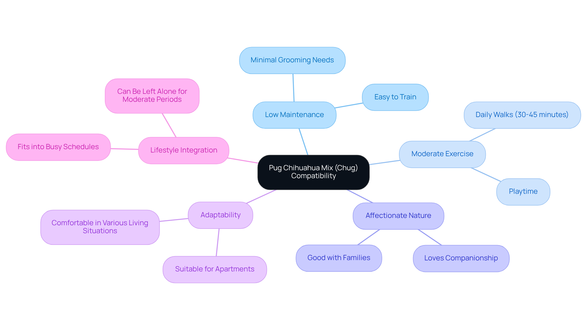 The central node represents the Chug as a pet, while the branches illustrate its key traits that make it ideal for busy individuals. Each branch provides details on how the Chug fits into daily life.