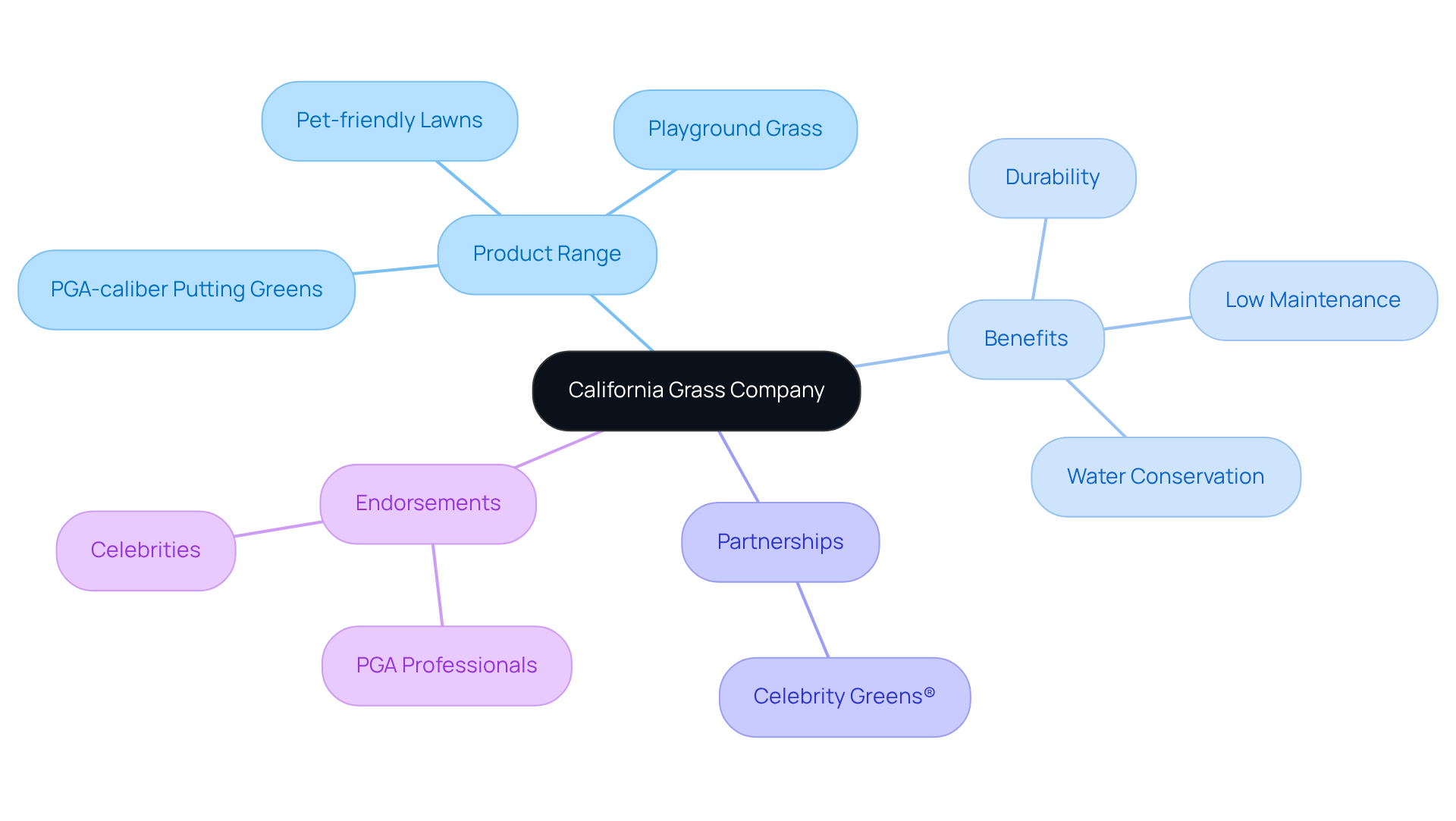 The center represents the company, and the branches show different aspects of its offerings and advantages. Follow the branches to explore product types, benefits, and partnerships. The center represents the company, and the branches show different aspects of its offerings and advantages. Follow the branches to explore product types, benefits, and partnerships.