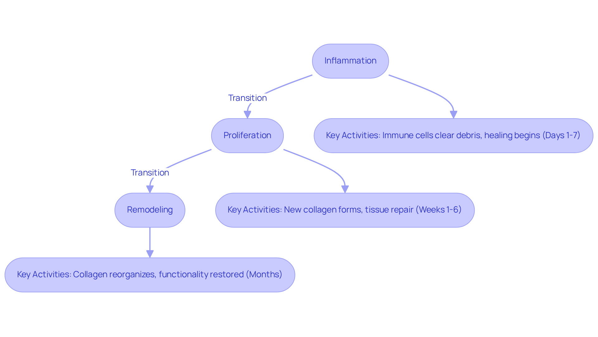 This flowchart outlines the healing process of tendons. Each box represents a stage of healing, with arrows showing how they connect. The descriptions below each stage provide insights into what happens during that time. Understanding these stages can help you navigate your recovery journey.