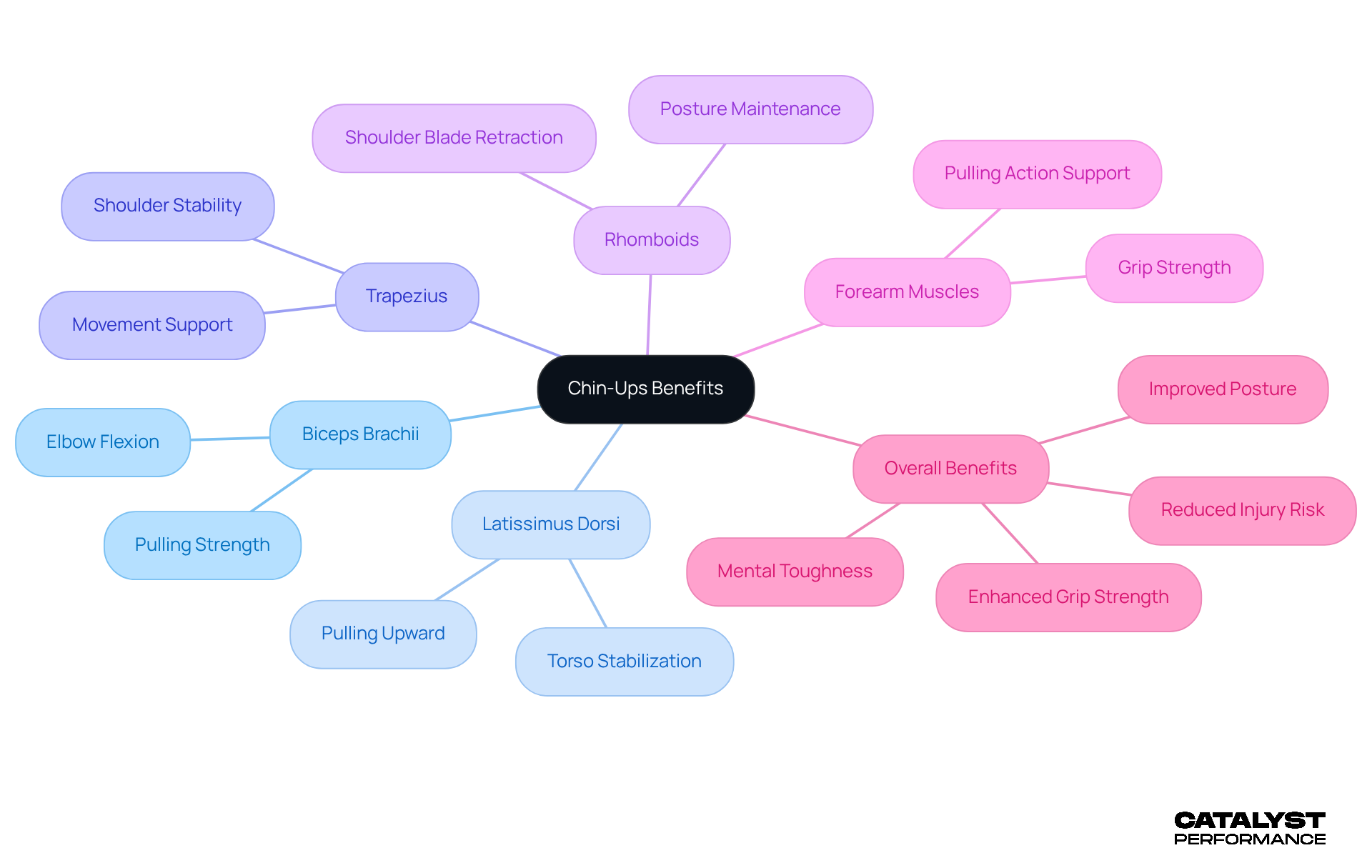 The central node represents chin-ups, with branches showing the key muscles involved and their specific benefits. Each color-coded branch helps you see how chin-ups contribute to strength and overall fitness.