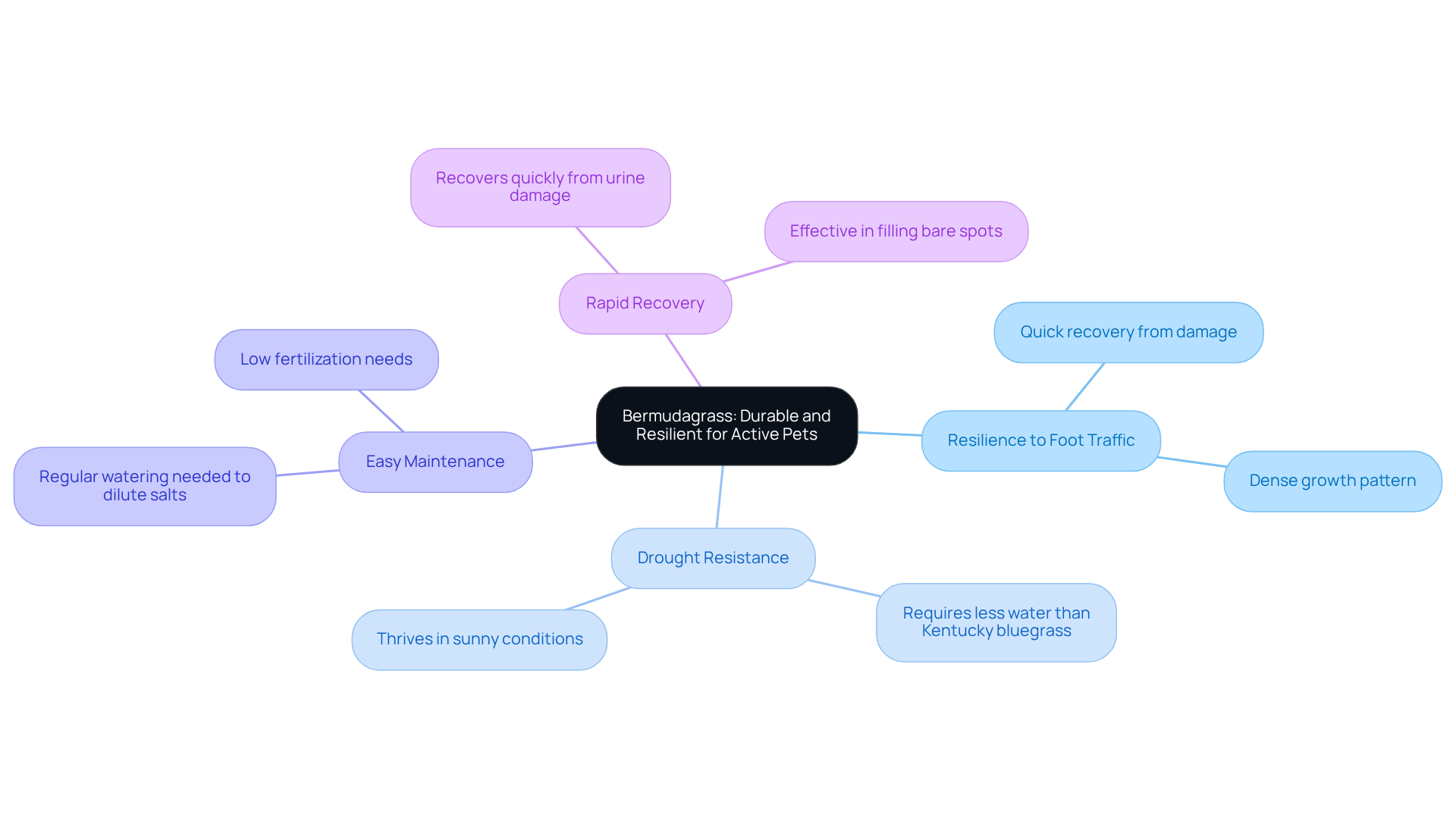 The central node represents Bermudagrass, while the branches show its key benefits. Each sub-branch provides more detail, helping you understand why this grass is a great choice for pet owners. The central node represents Bermudagrass, while the branches show its key benefits. Each sub-branch provides more detail, helping you understand why this grass is a great choice for pet owners.