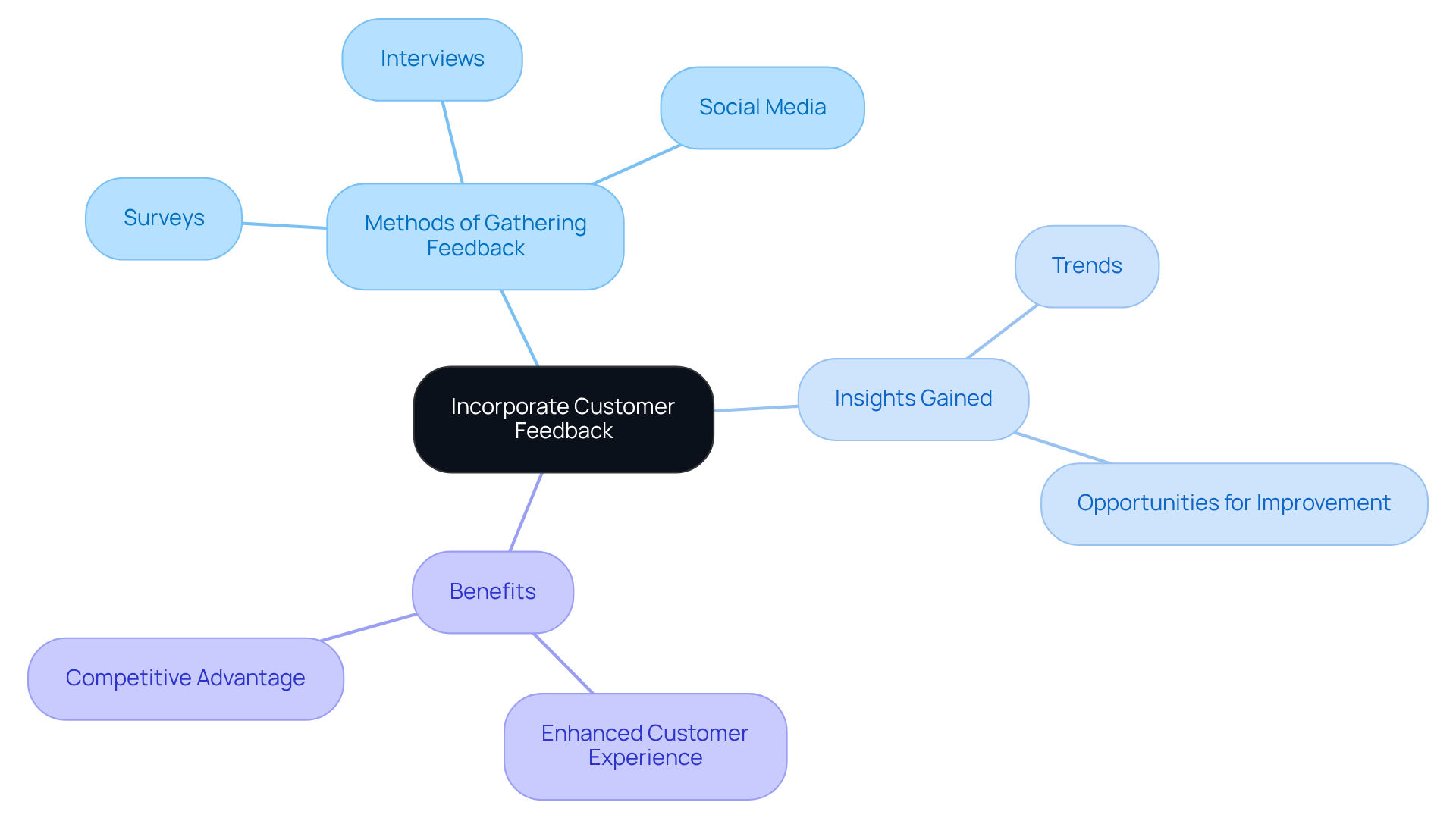 The central idea is about using customer feedback to improve your product. Each branch shows different ways to gather feedback, what insights you can gain, and the benefits of acting on that feedback. Follow the branches to see how everything connects!