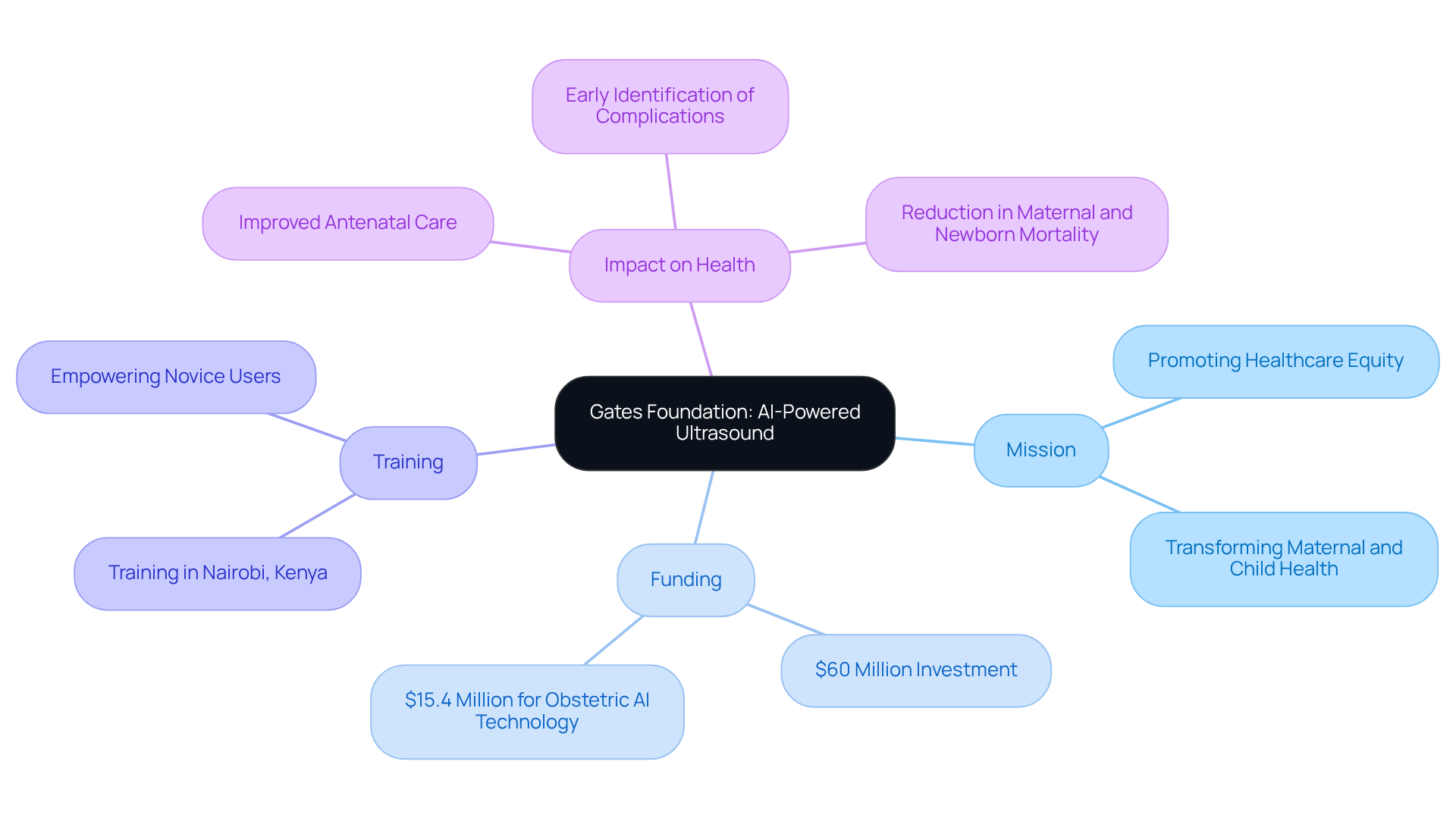 The center represents the main mission of the foundation, while the branches show different aspects like funding, training efforts, and health impacts. Each color-coded section helps clarify the connections between the foundation's goals and their actions.
