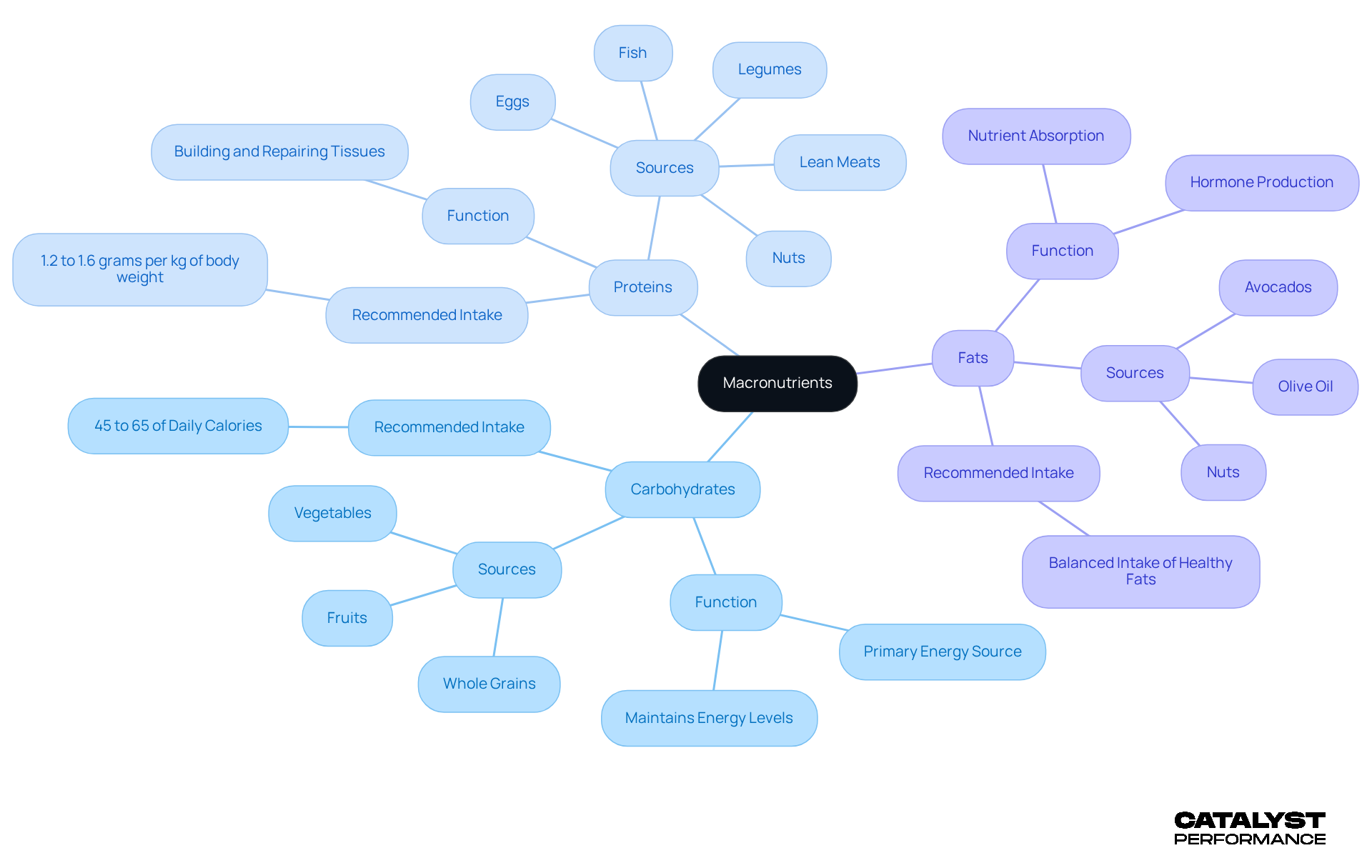 The central node represents macronutrients, while the branches show the three main types. Each sub-branch provides additional information about their roles and sources, helping you see how they contribute to a balanced diet.