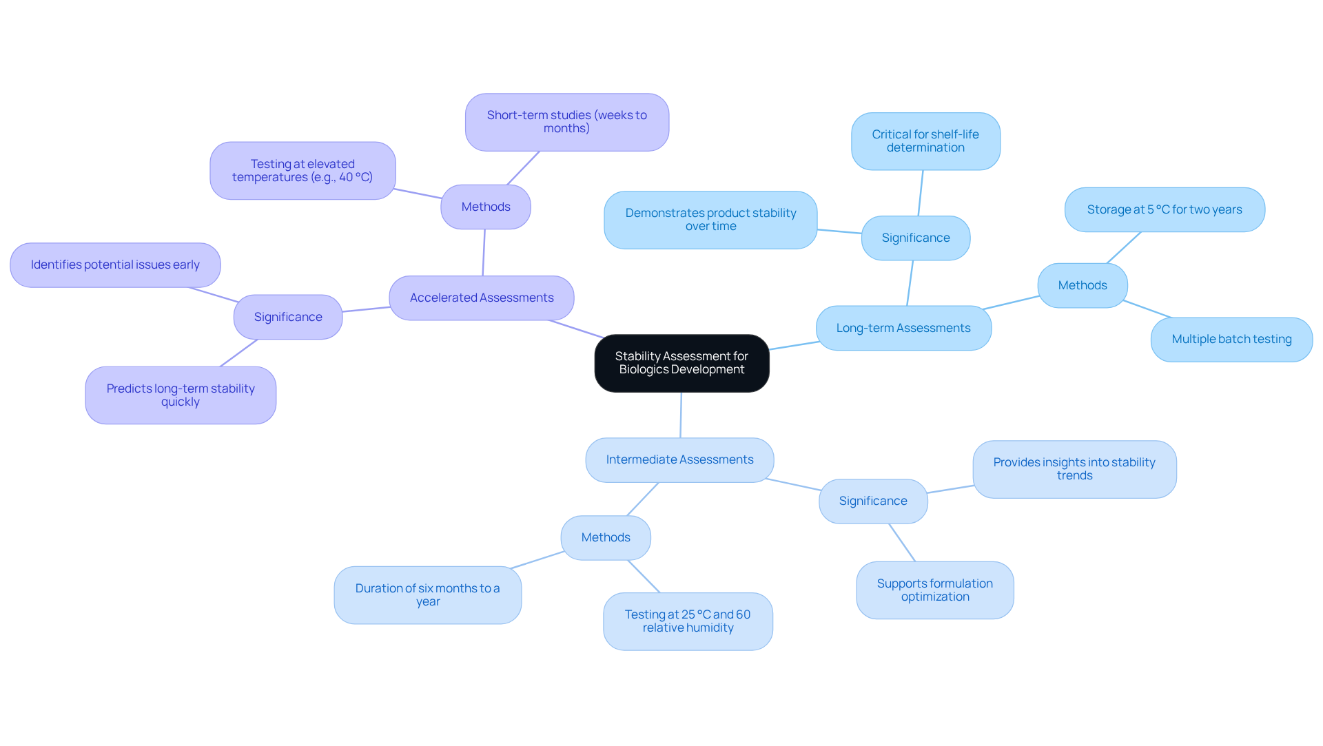 The central node represents the main topic of stability assessment, while the branches show different types of assessments. Each branch highlights the importance of that category in the development of biologics.