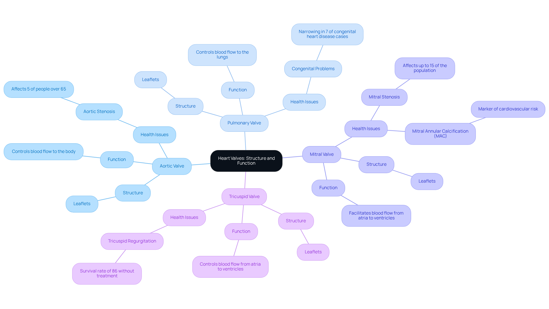 This mindmap starts with the heart valves at the center and branches out to show each valve's role and related health concerns. Each color-coded branch helps you see how the valves work together to keep your heart healthy. This mindmap starts with the heart valves at the center and branches out to show each valve's role and related health concerns. Each color-coded branch helps you see how the valves work together to keep your heart healthy.