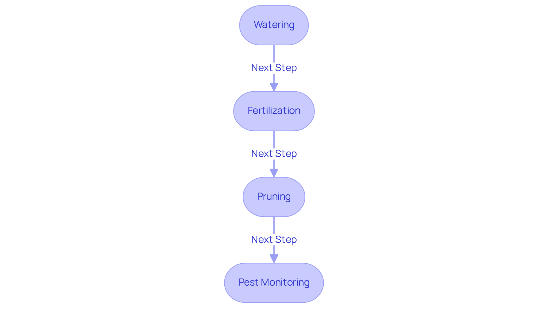 Each box in the flowchart represents a care step for your tree. Follow the arrows to understand the order of care and how to best nurture your Lara Star Fruit tree.