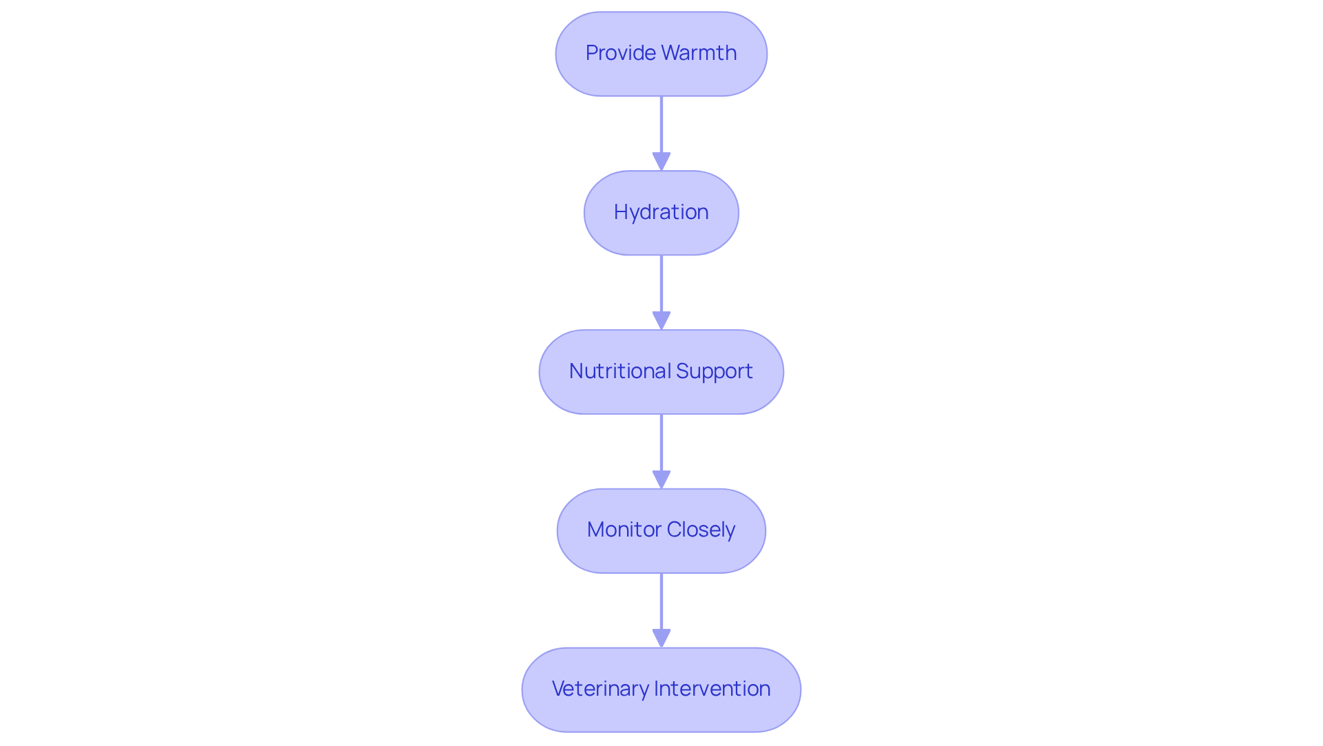 Each box represents an important step in caring for a kitten with fading syndrome. Follow the arrows to see the recommended order of actions that can help improve the kitten's chances of recovery.
