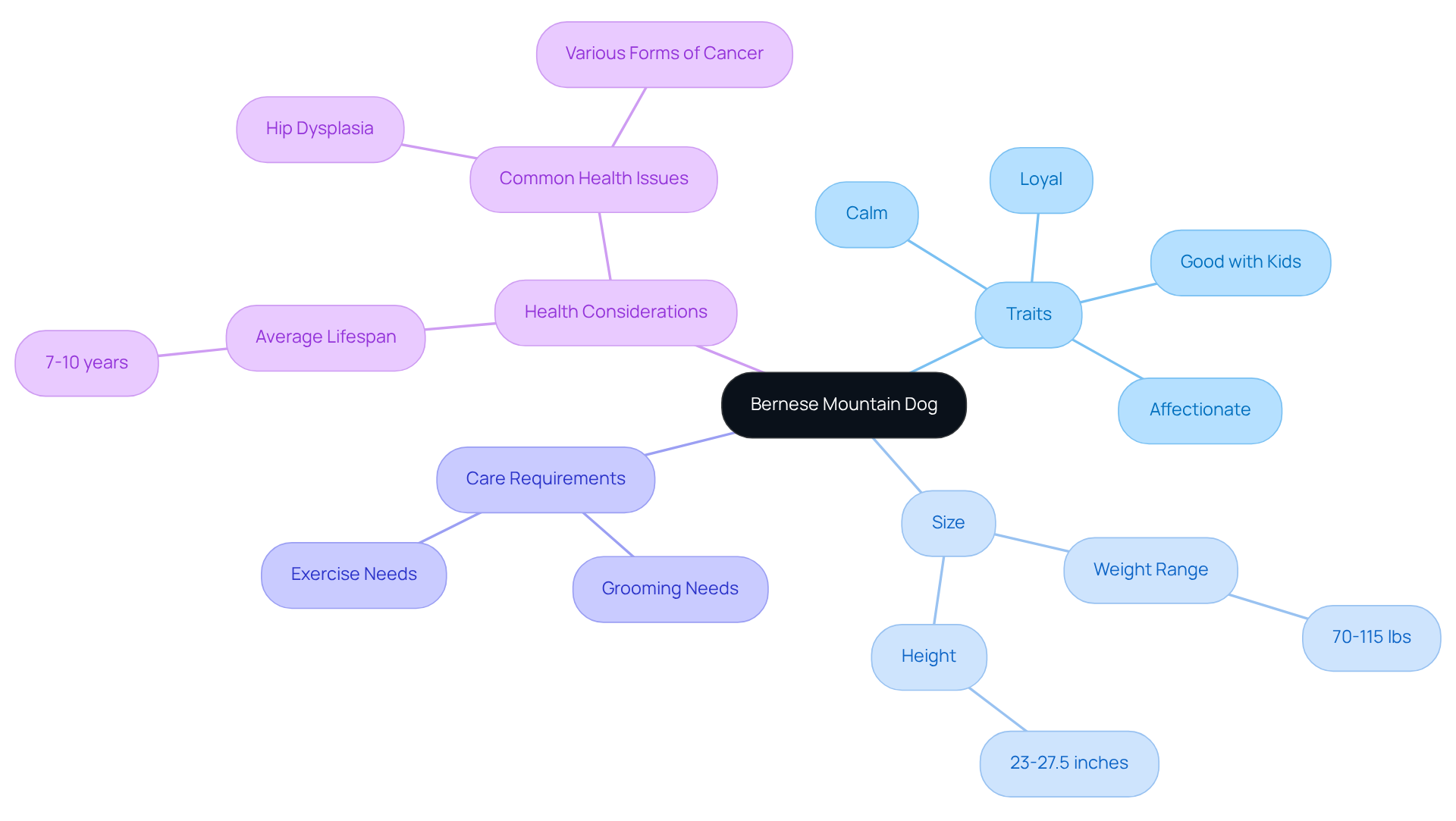 The central node represents the breed, with branches that explore different aspects like traits, size, care, and health. Each color-coded branch helps you follow the dog's characteristics and requirements easily.