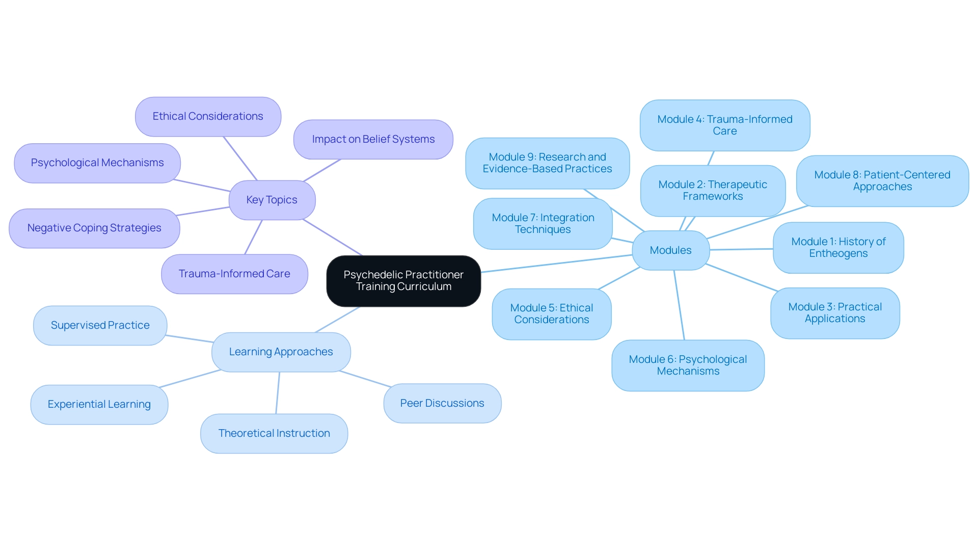 The central node represents the overall curriculum, with branches showing the main modules, learning approaches, and key topics within the training.