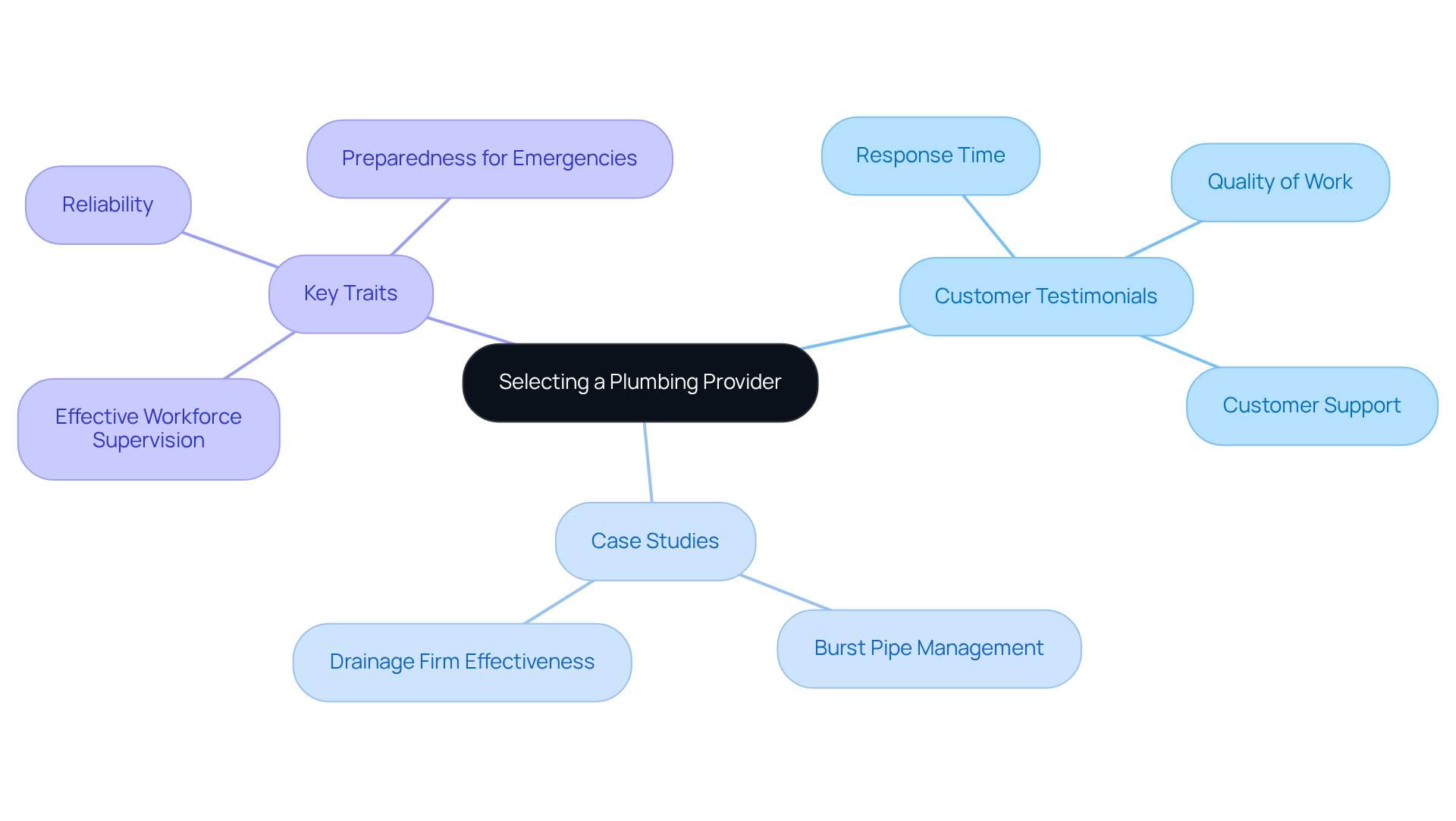 Start at the center with the main topic of selecting a plumbing provider. Follow the branches to explore customer testimonials, case studies, and important traits to look for in contractors.