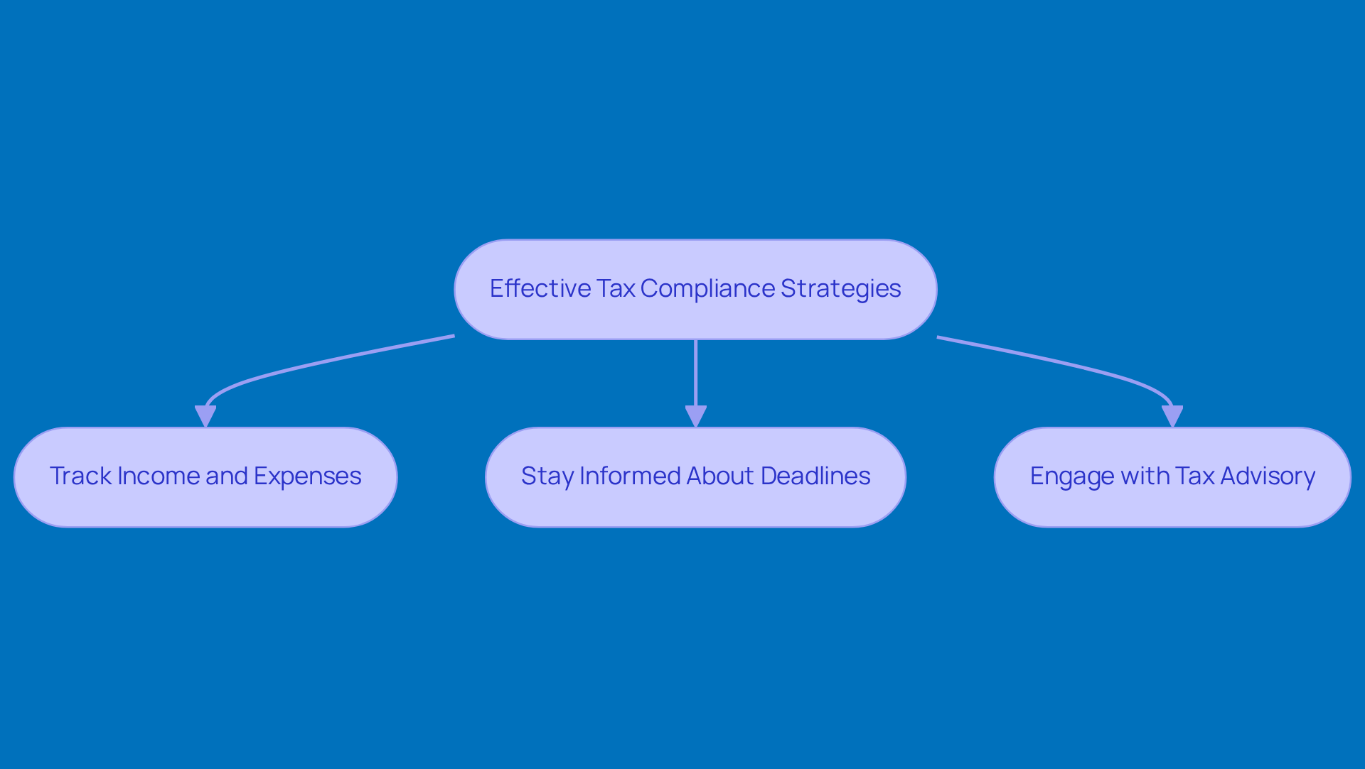 This flowchart shows the key strategies small business owners can use to minimize tax compliance risks. Each box represents a specific action you can take, and the arrows guide you through the steps to follow for better tax management.