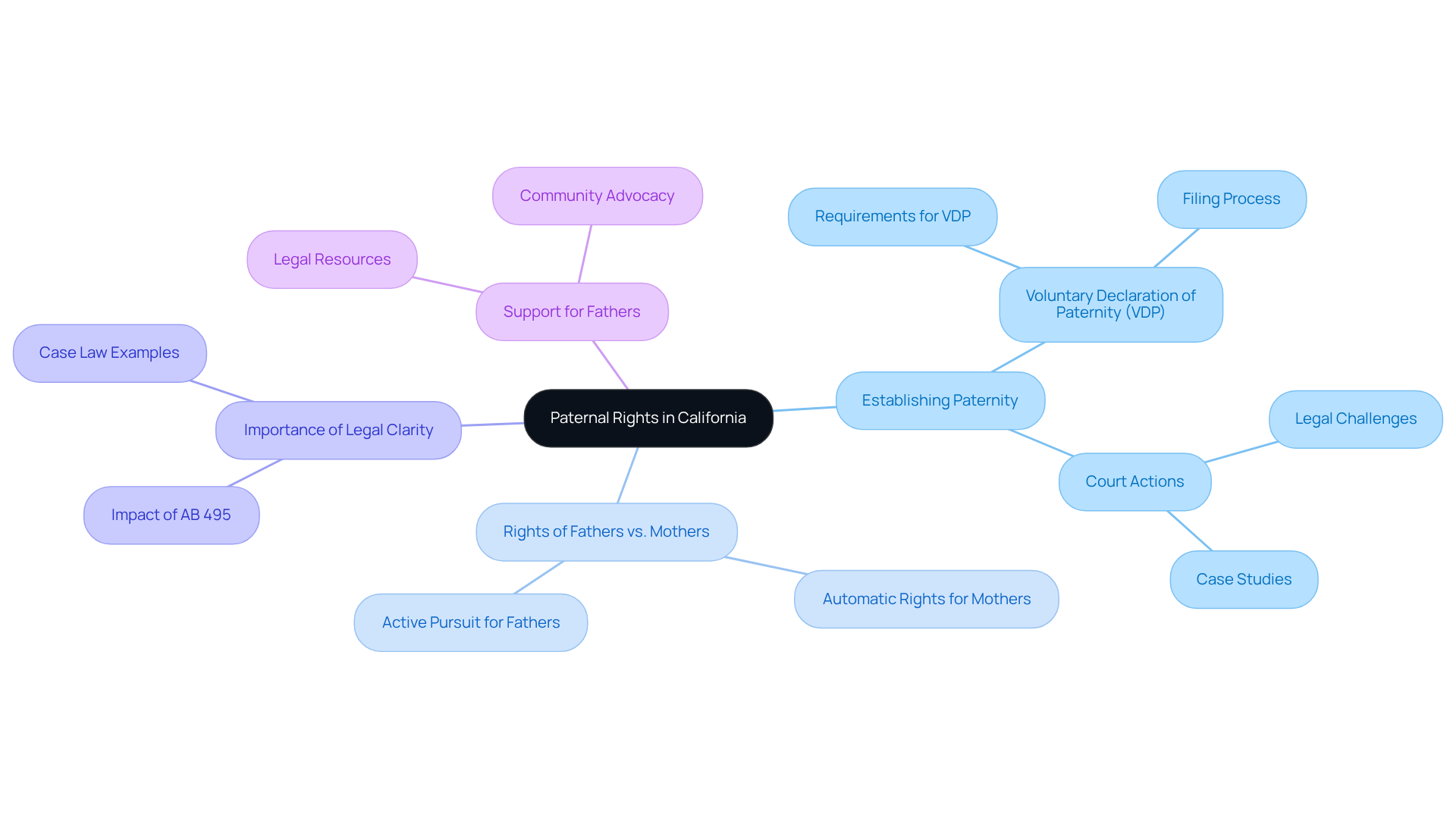 The central node represents the main topic of paternal rights, while the branches show different aspects of this topic. Each color-coded branch helps you see how these elements connect and the importance of each in the context of family law.