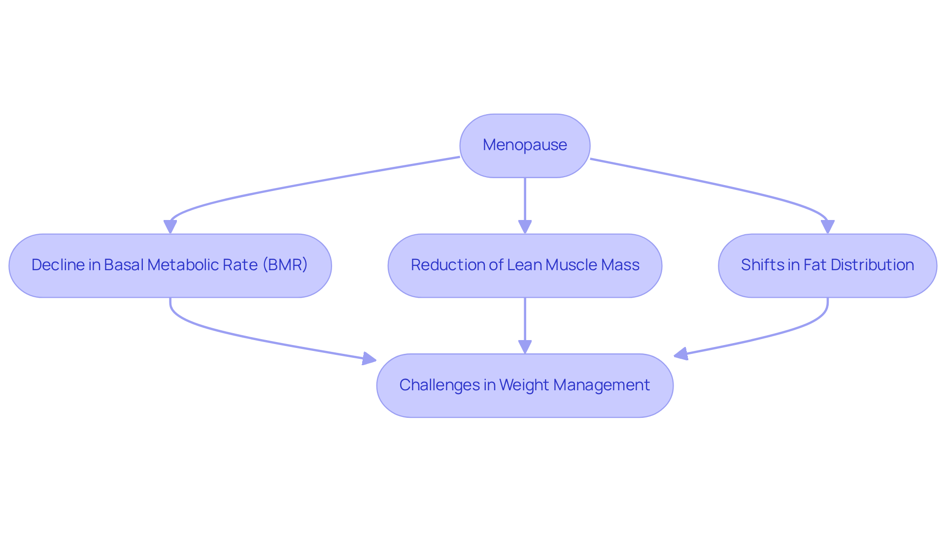 This flowchart shows how menopause affects metabolism and body composition. Start with menopause at the top, then follow the arrows to see how each change impacts weight management.
