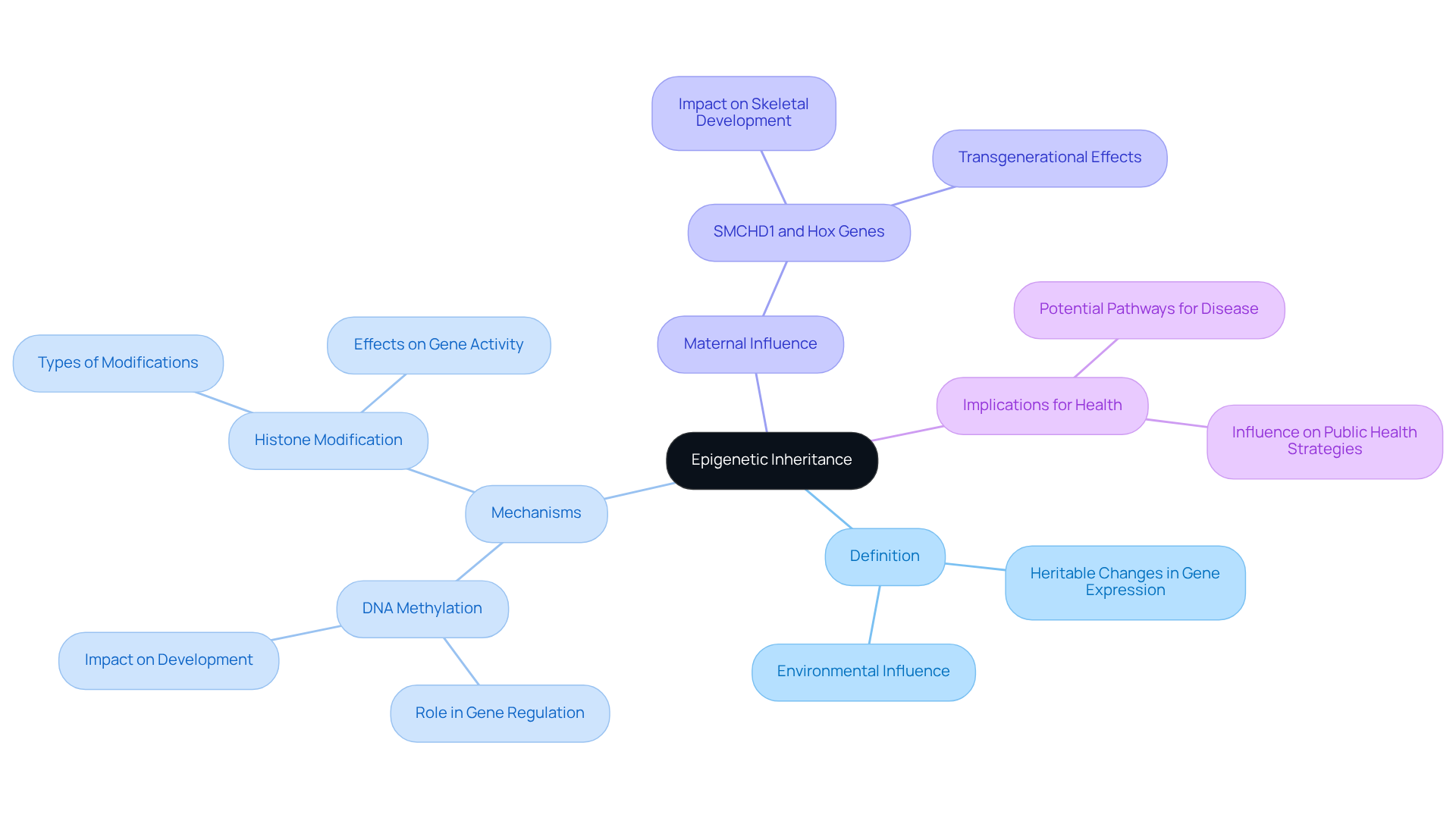 This mindmap starts with the main idea of epigenetic inheritance at the center. Each branch represents a different aspect of the concept, showing how environmental factors and maternal influences shape genetic expression across generations. Follow the branches to explore how these elements connect and contribute to our understanding of heredity.