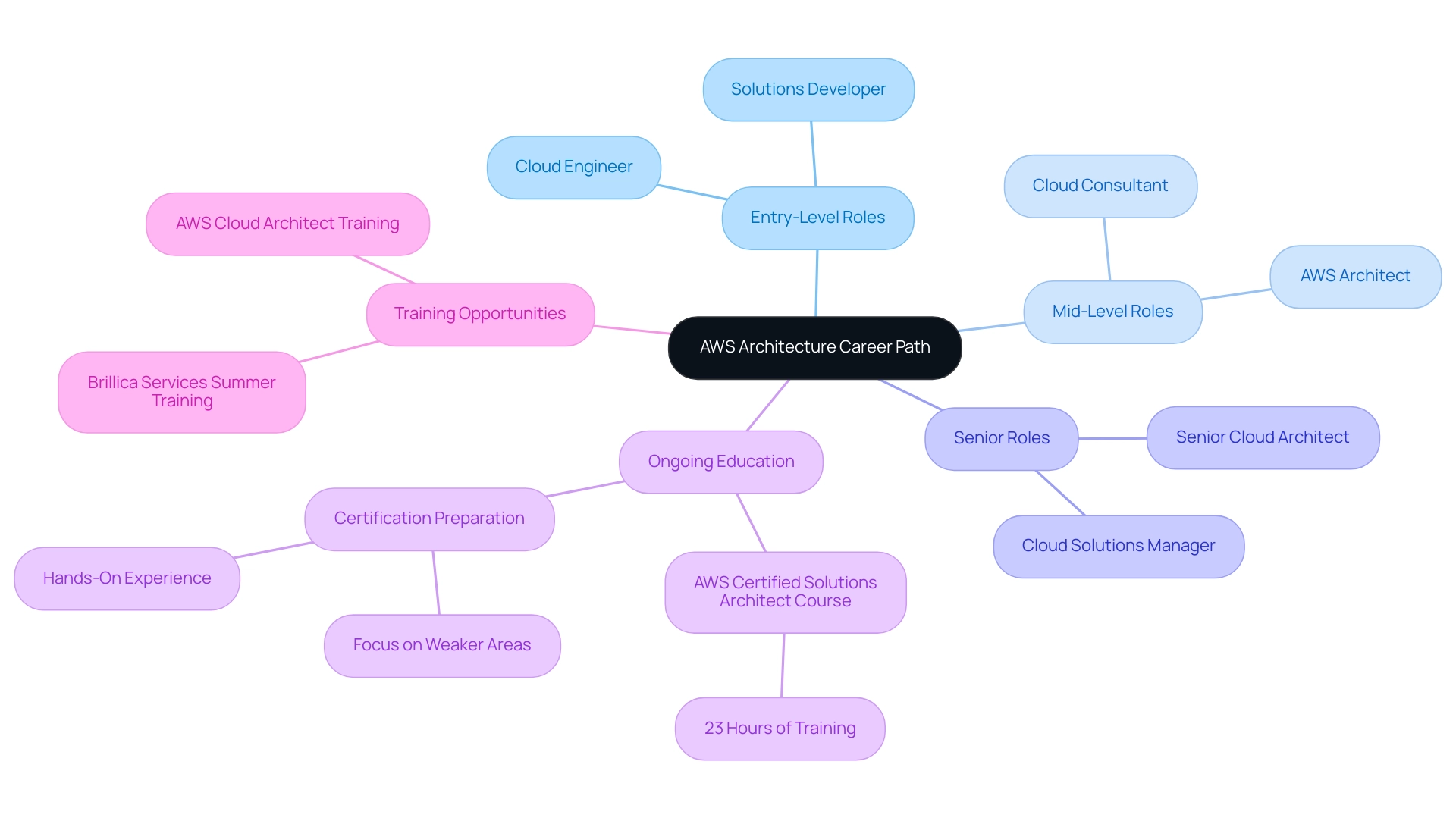 The central node represents the overall career path, with branches for different levels of roles and their associated educational opportunities.