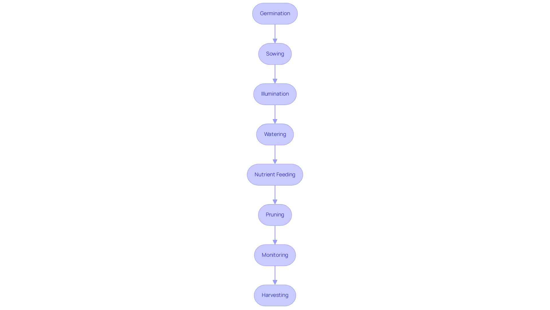 Follow the arrows from top to bottom to see each step in the cultivation process. Each box tells you what to do next, from germinating your seeds to harvesting your plants.