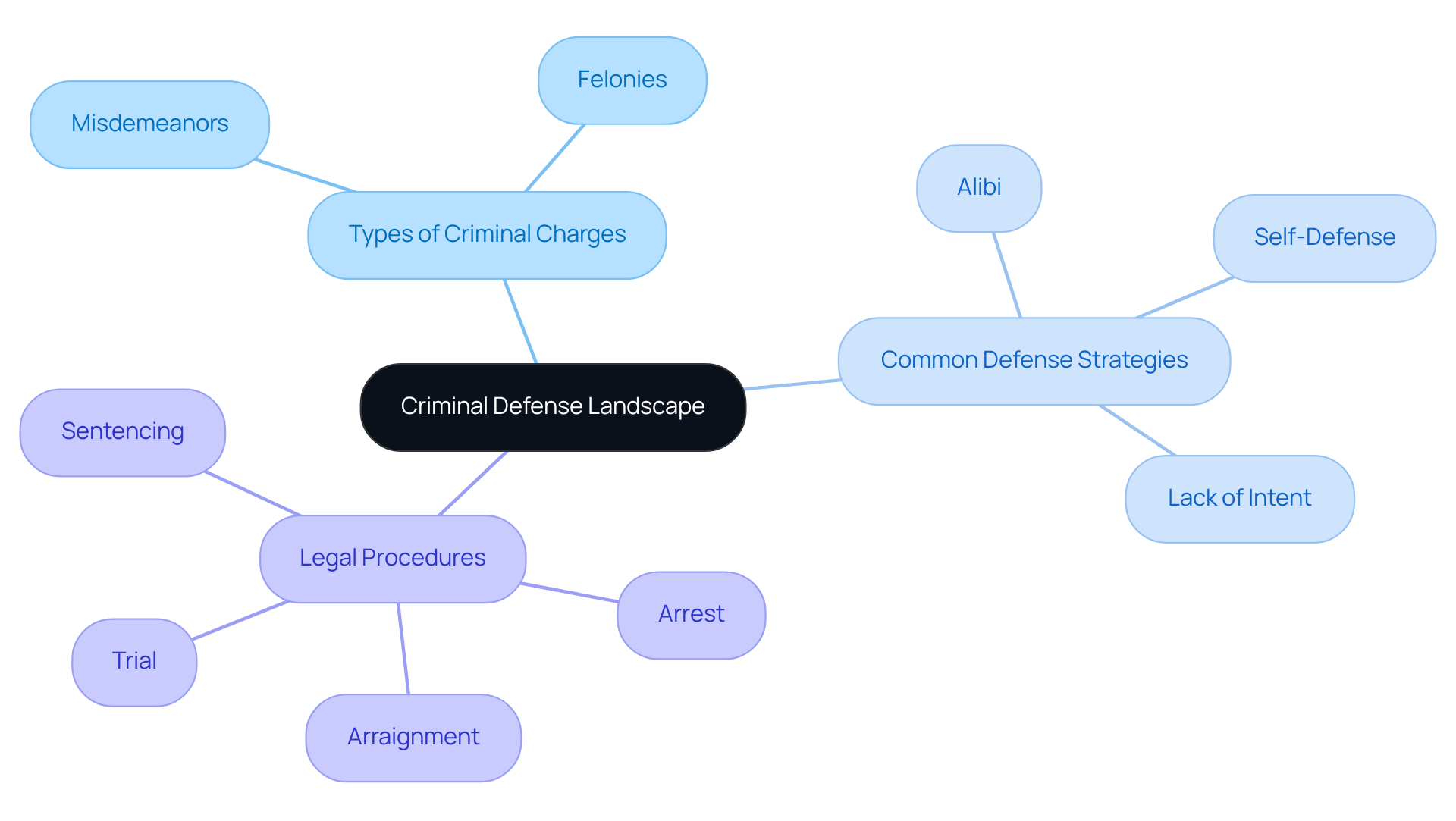 The central node represents the overall topic, while the branches show the key areas of focus. Each sub-branch provides specific details related to that area, helping you see how everything connects in the context of criminal defense.