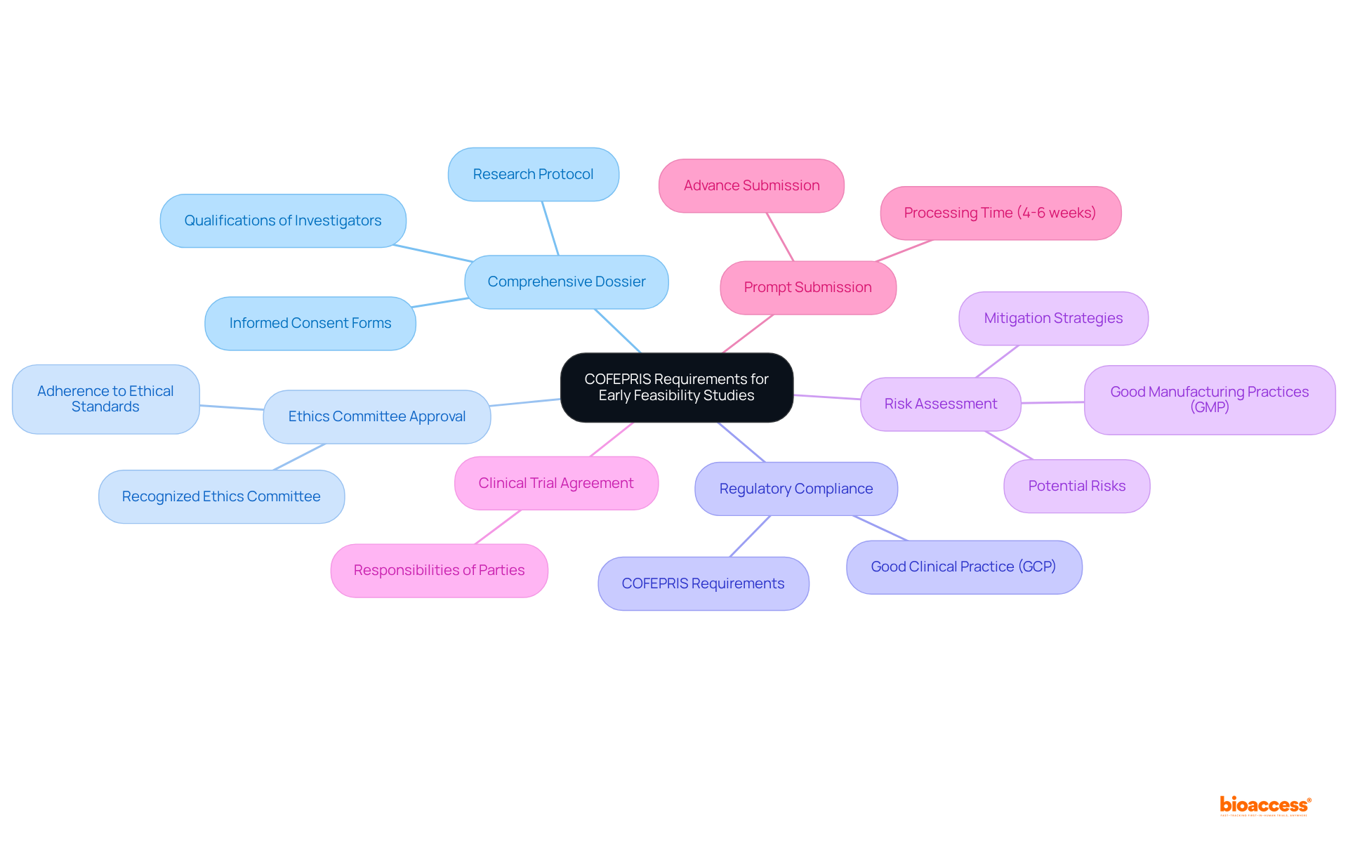 The central node represents the main theme, with branches showing each specific requirement. The colors help differentiate between requirements for easy recognition.