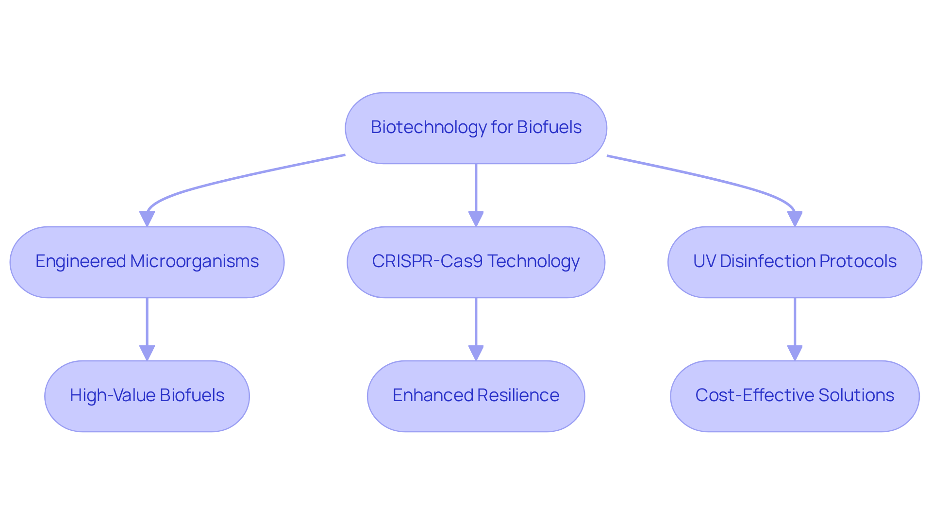 This flowchart shows how different biotechnological innovations contribute to renewable energy solutions. Follow the arrows to see how each innovation leads to specific benefits in biofuel production and sustainability.