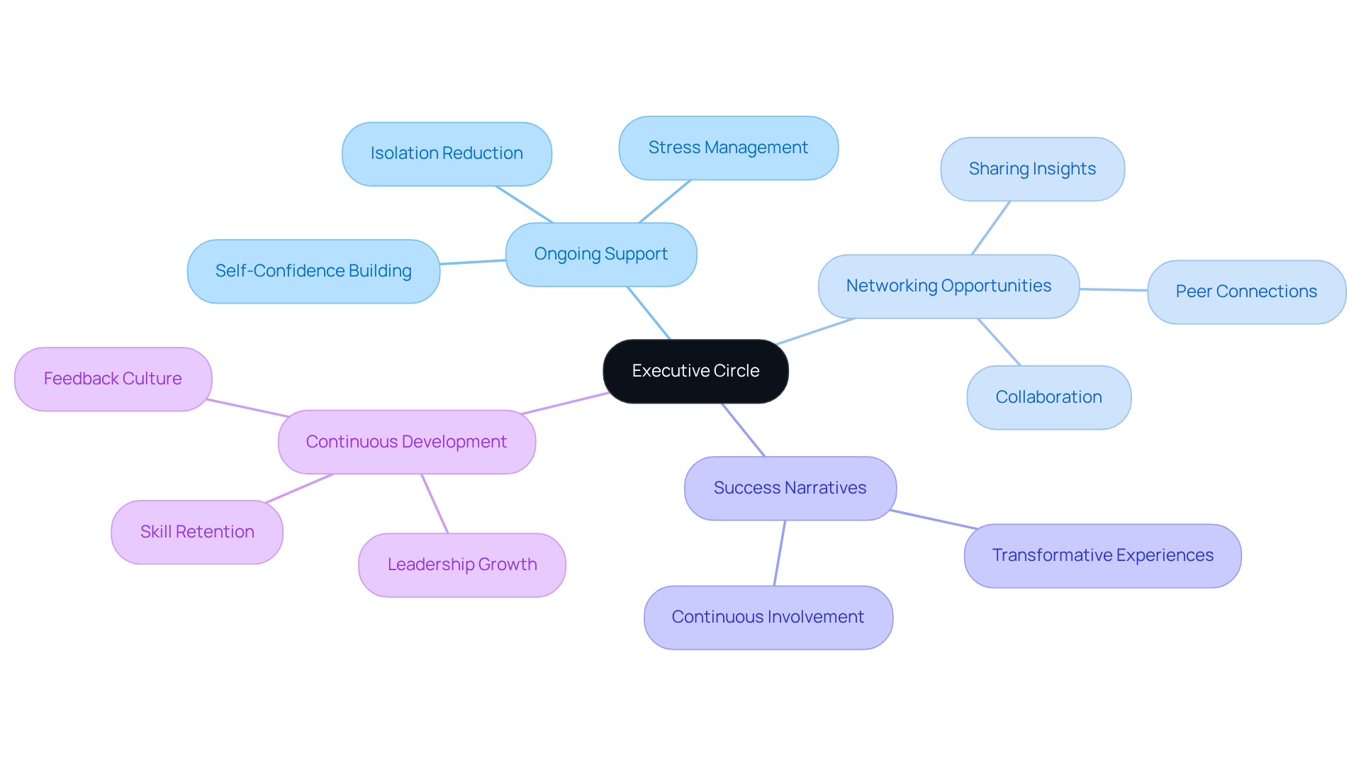 The central node represents the Executive Circle, while each branch highlights different benefits and aspects of the network. Explore each area to see how they contribute to ongoing growth and support for executives.