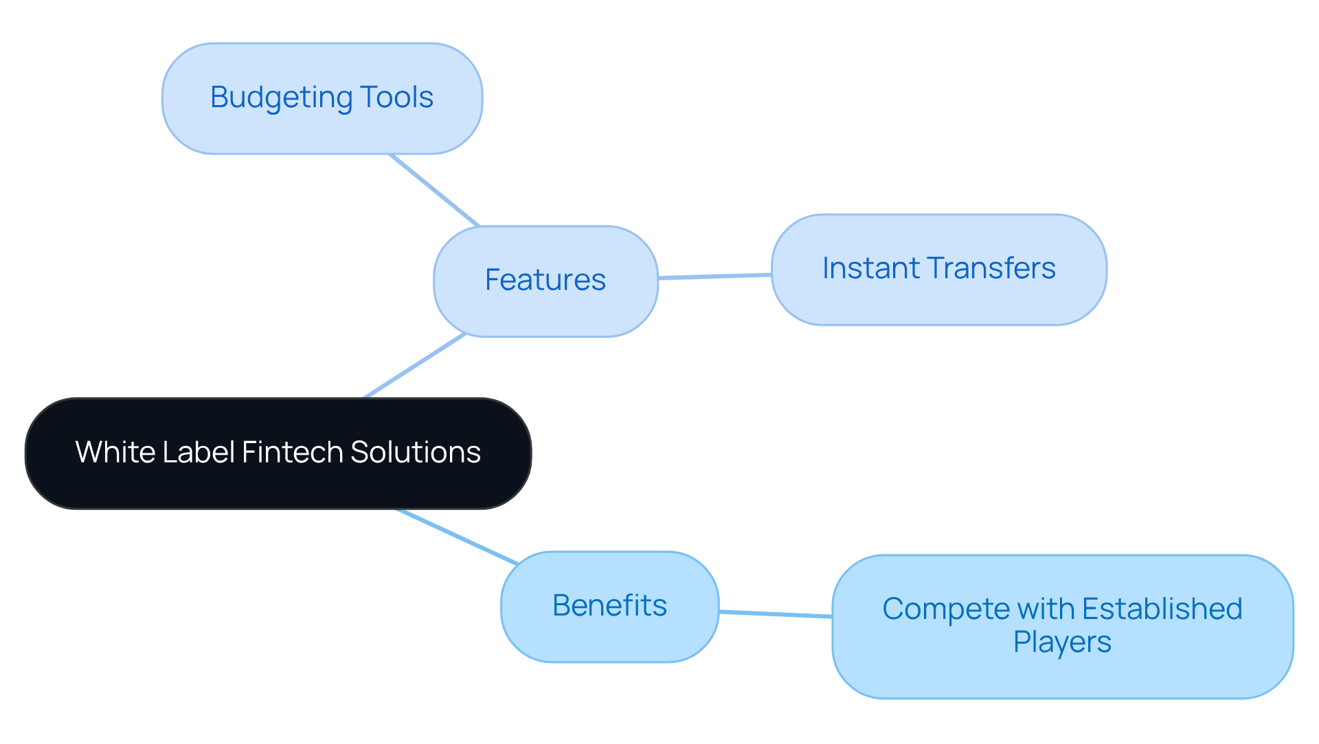 The center shows the main idea of using white label fintech solutions. The branches illustrate the benefits and specific features that help new businesses stand out in the market.