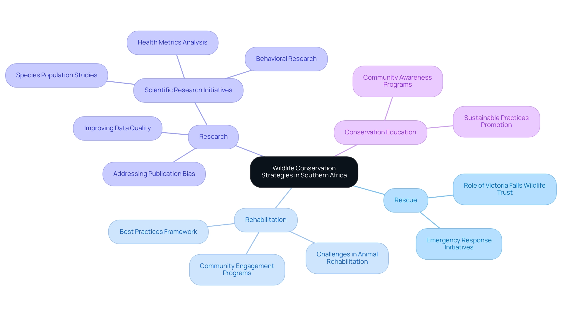 The central node represents the overall conservation strategies, with branches for each main strategy (Rescue, Rehabilitation, Research) and their respective sub-initiatives.