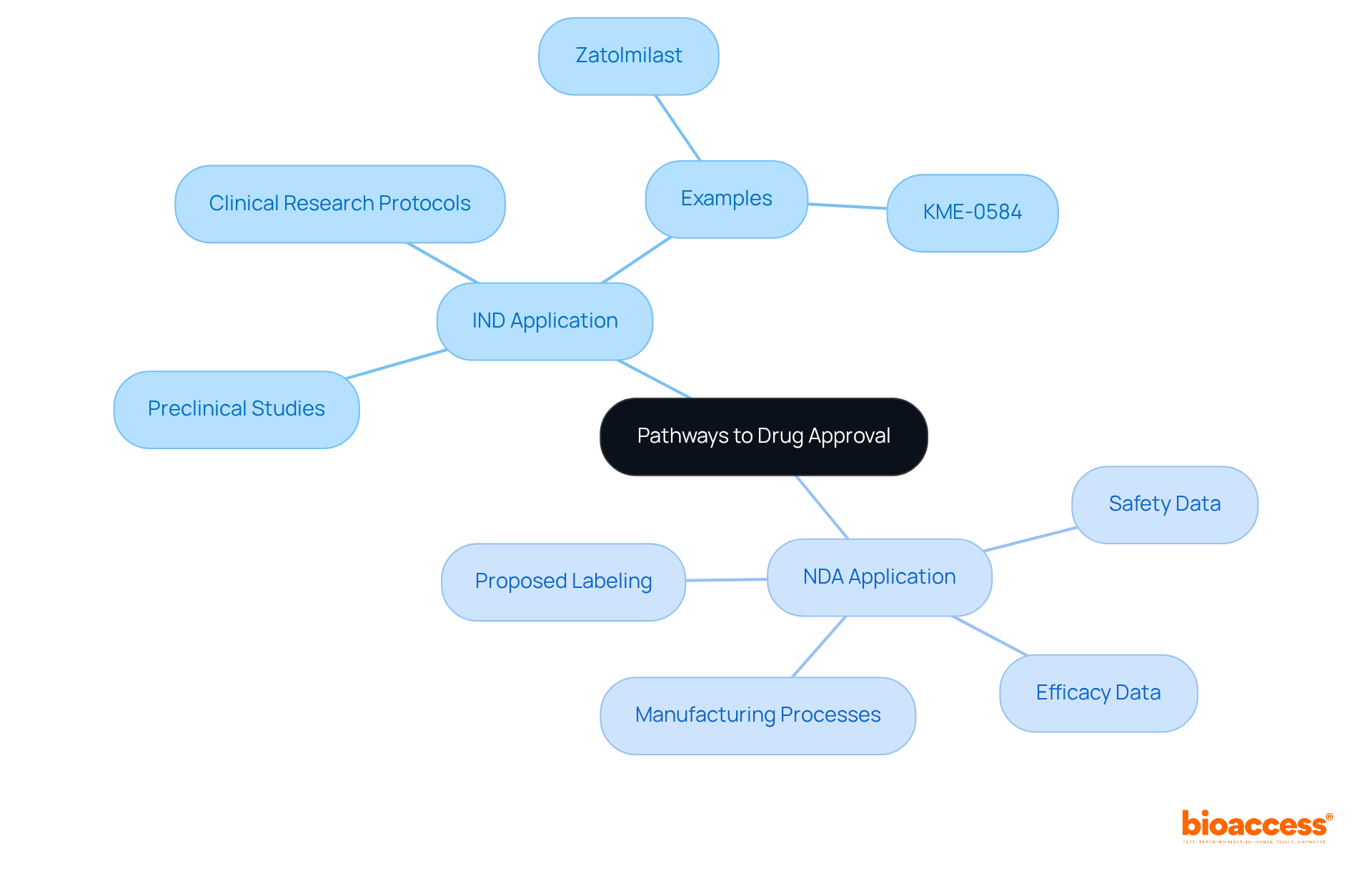 The central node represents the main topic, and the branches show the different pathways and their components. Each color-coded branch helps you understand the steps involved in drug approval, along with real-world examples.