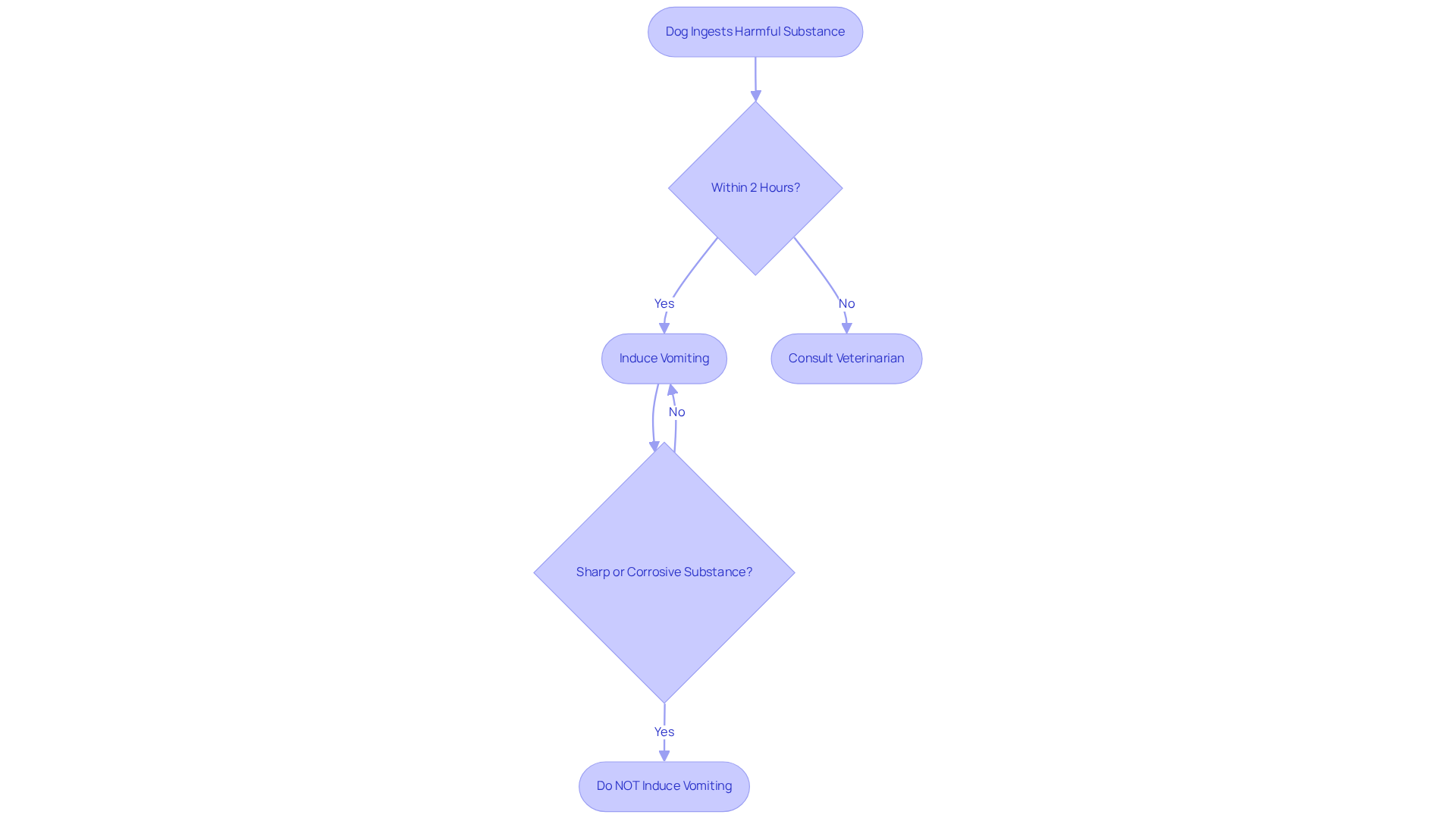 This flowchart guides you through what to do if your dog might have ingested something harmful. Follow the arrows to understand when it's safe to induce vomiting and when you should consult a vet.