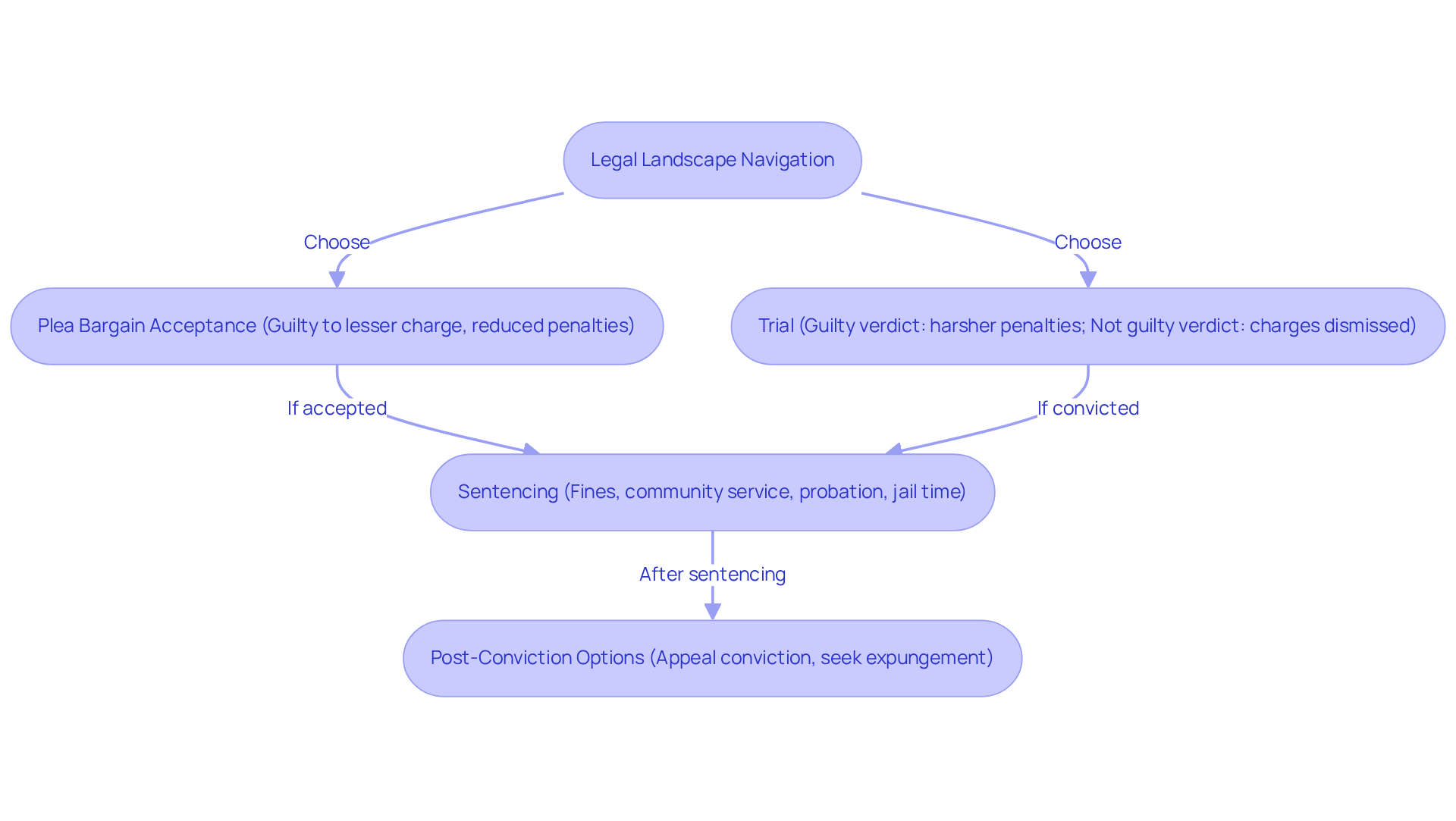 This flowchart shows the steps you can take in the legal process. Start at the top and follow the arrows to see what happens at each stage, from accepting a plea bargain to exploring post-conviction options.