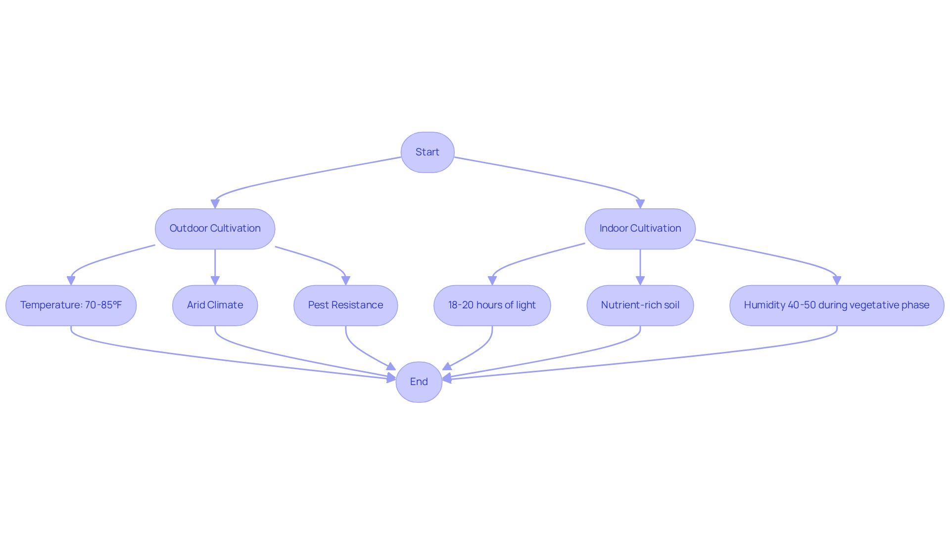 Follow the flowchart to see the steps and conditions necessary for cultivating the Afghani strain, whether outdoors or indoors. Each box represents a key aspect of the growing process, leading you through the necessary requirements for successful cultivation.
