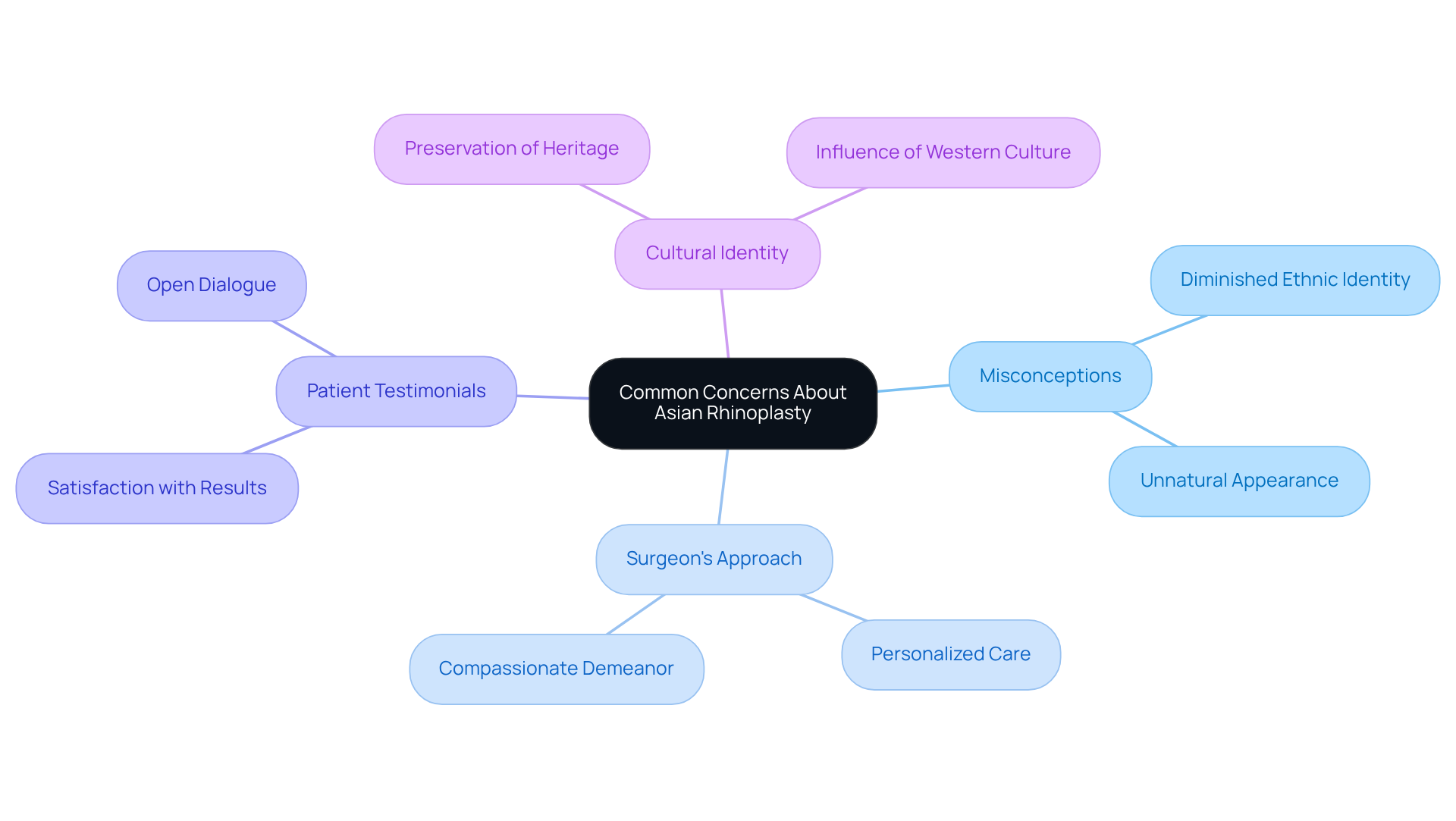 The central node represents the main topic, while branches show related concerns and insights. Each color-coded branch helps you navigate through misconceptions, the surgeon's methods, and real patient experiences.