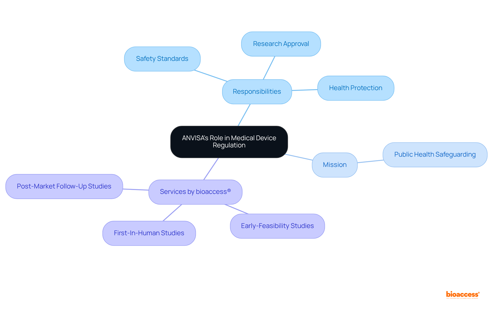 The central node represents ANVISA, and the branches illustrate its various roles and services. Each color-coded branch helps differentiate between responsibilities, mission, and services offered by bioaccess®. The central node represents ANVISA, and the branches illustrate its various roles and services. Each color-coded branch helps differentiate between responsibilities, mission, and services offered by bioaccess®.