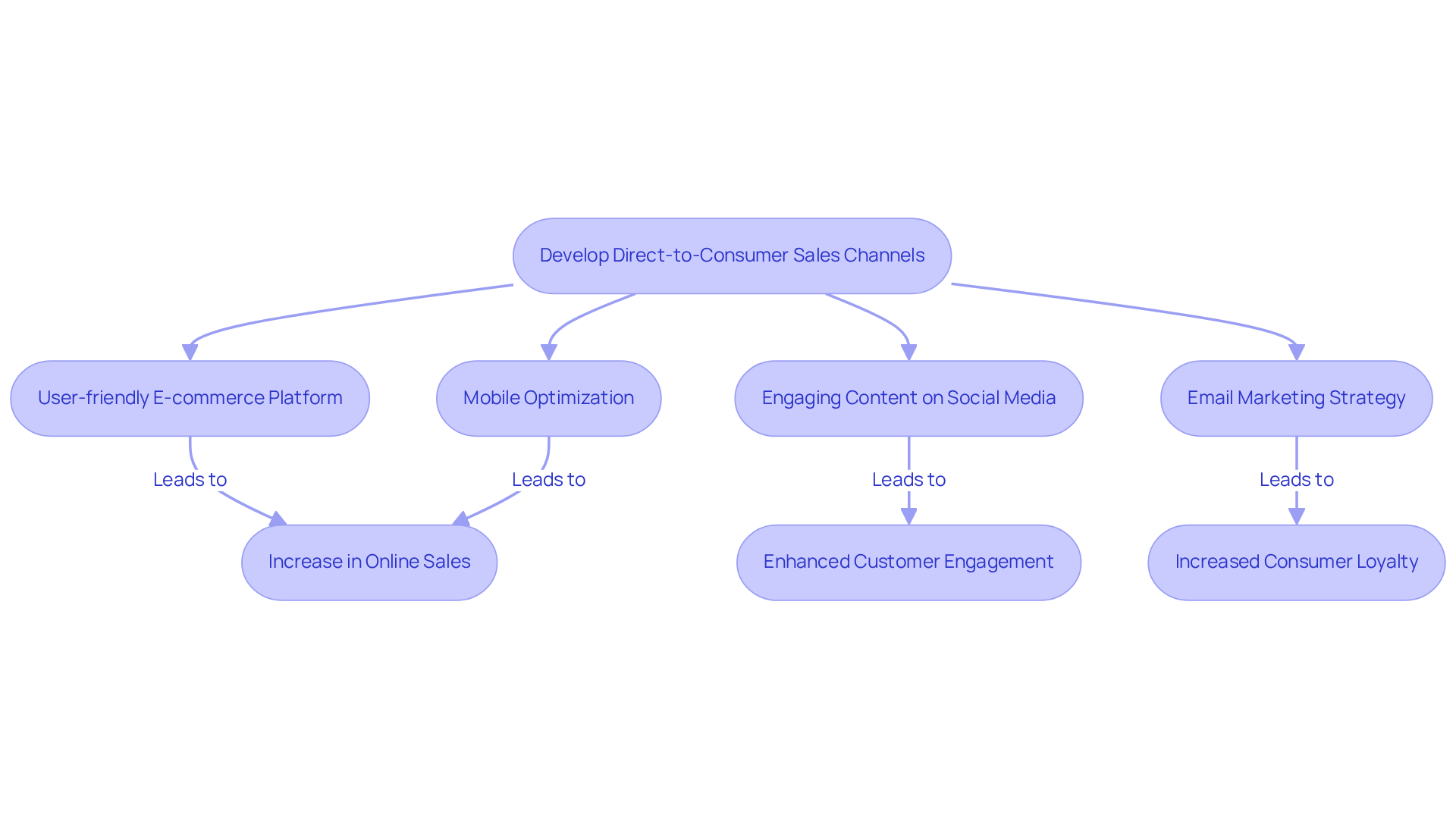 Each box represents a strategy or outcome in the process of building direct-to-consumer sales channels. Follow the arrows to see how each step connects to the next and contributes to overall sales success.