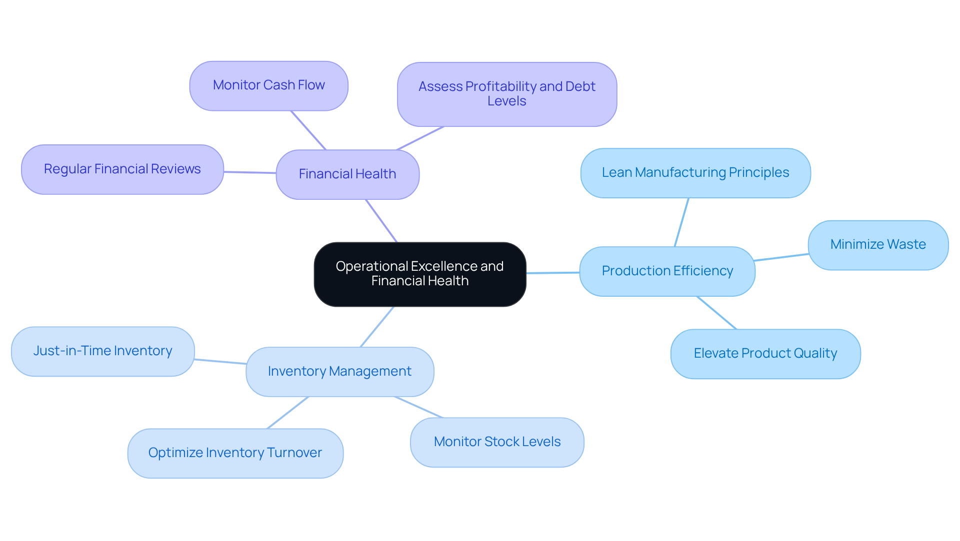 The central node represents the overarching goal, with branches showing the key focus areas. Each sub-branch details specific strategies and techniques to achieve operational excellence and maintain financial health.