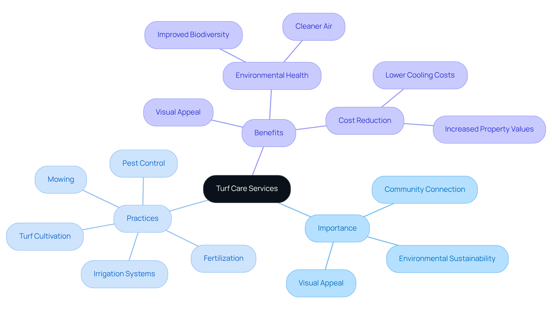 At the center, we have the main focus on turf care services. Branching out, you'll find the practices we use and the benefits they bring to the community. Each color represents a different category to help you navigate through the information easily.