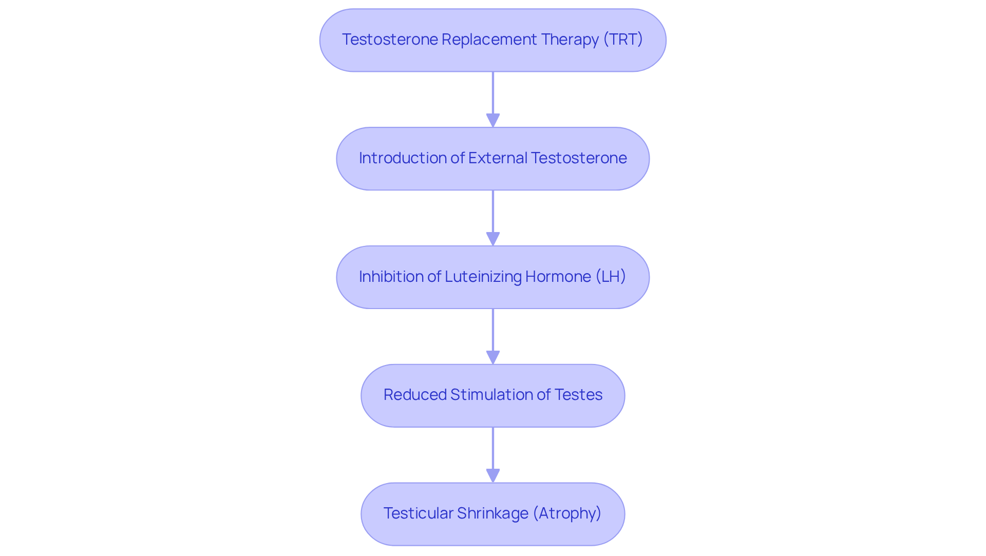 This flowchart illustrates the steps involved in Testosterone Replacement Therapy and how it can lead to testicular shrinkage. Each box represents a key stage in the process, showing how TRT affects hormone levels and ultimately leads to changes in testicular size. This flowchart illustrates the steps involved in Testosterone Replacement Therapy and how it can lead to testicular shrinkage. Each box represents a key stage in the process, showing how TRT affects hormone levels and ultimately leads to changes in testicular size.