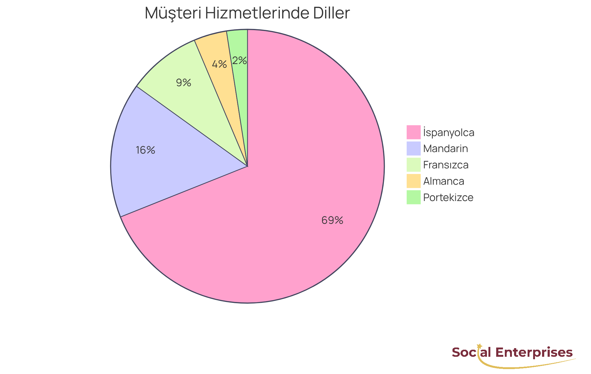 Her dil dilimi, müşteri hizmetleri alanındaki çalışanların hangi dilleri konuştuğunu gösteriyor — dilimlerin büyüklüğü, o dili konuşanların oranını belirtiyor. Her dil dilimi, müşteri hizmetleri alanındaki çalışanların hangi dilleri konuştuğunu gösteriyor — dilimlerin büyüklüğü, o dili konuşanların oranını belirtiyor.