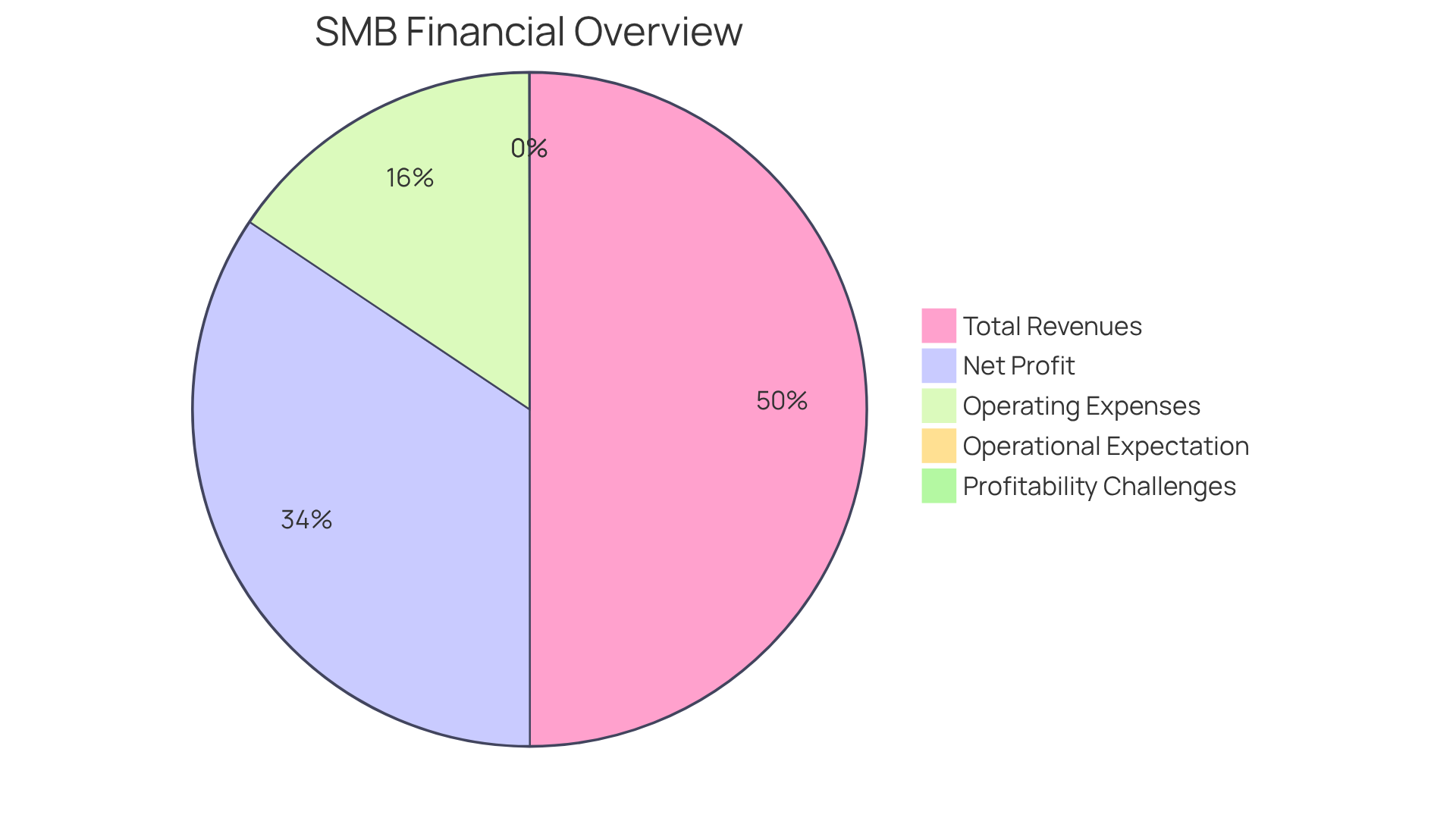 Each slice of the pie represents a part of the company's financial picture. The green slice shows total revenues, the red slice shows expenses, and the blue slice shows net profit. The additional section highlights the percentage of businesses facing challenges and those expecting to stay operational.