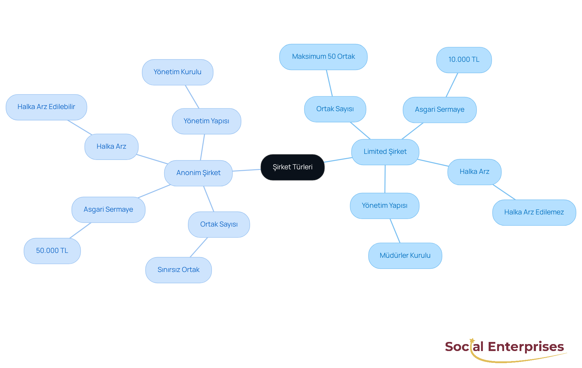 Mindmap'in ortasında 'Şirket Türleri' var, ardından 'Limited Şirket' ve 'Anonim Şirket' olarak iki ana dal ayrılıyor. Her dal, o şirkete özgü özellikleri gösteriyor. Hangi bilgilerin hangi şirkete ait olduğunu kolayca görebilirsiniz.