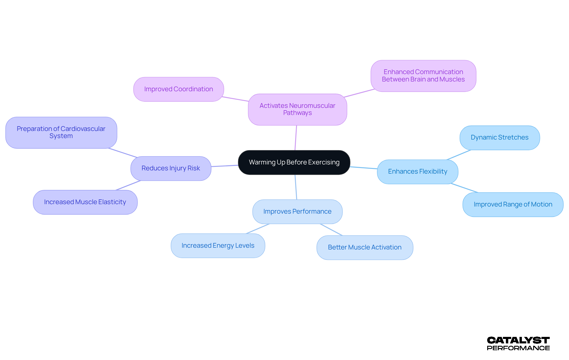 The central node represents the main idea of warming up, while the branches show the various benefits. Each sub-branch provides more detail on how warming up contributes to better performance and safety. The central node represents the main idea of warming up, while the branches show the various benefits. Each sub-branch provides more detail on how warming up contributes to better performance and safety.