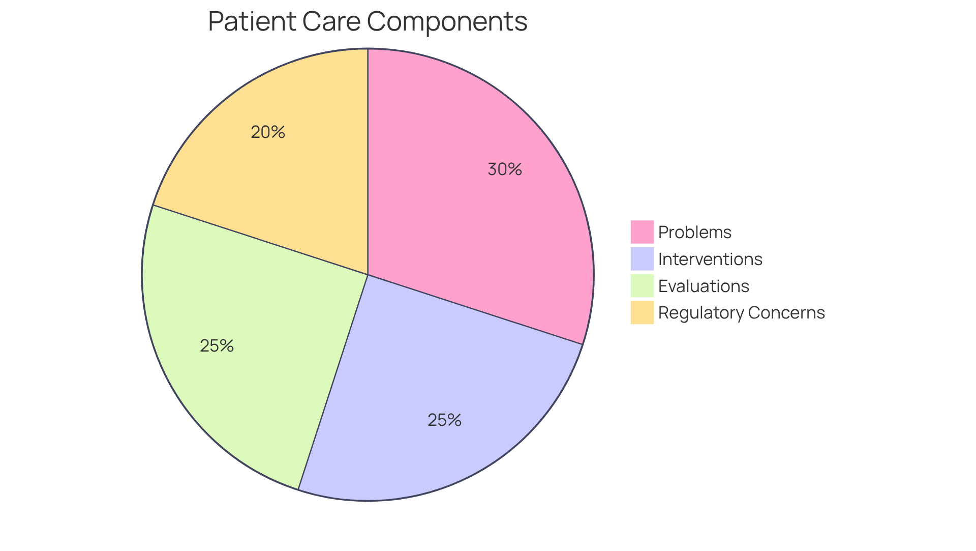 Each slice of the pie represents a vital part of patient care documentation. The size of each slice indicates how much emphasis is placed on that component in improving patient care.