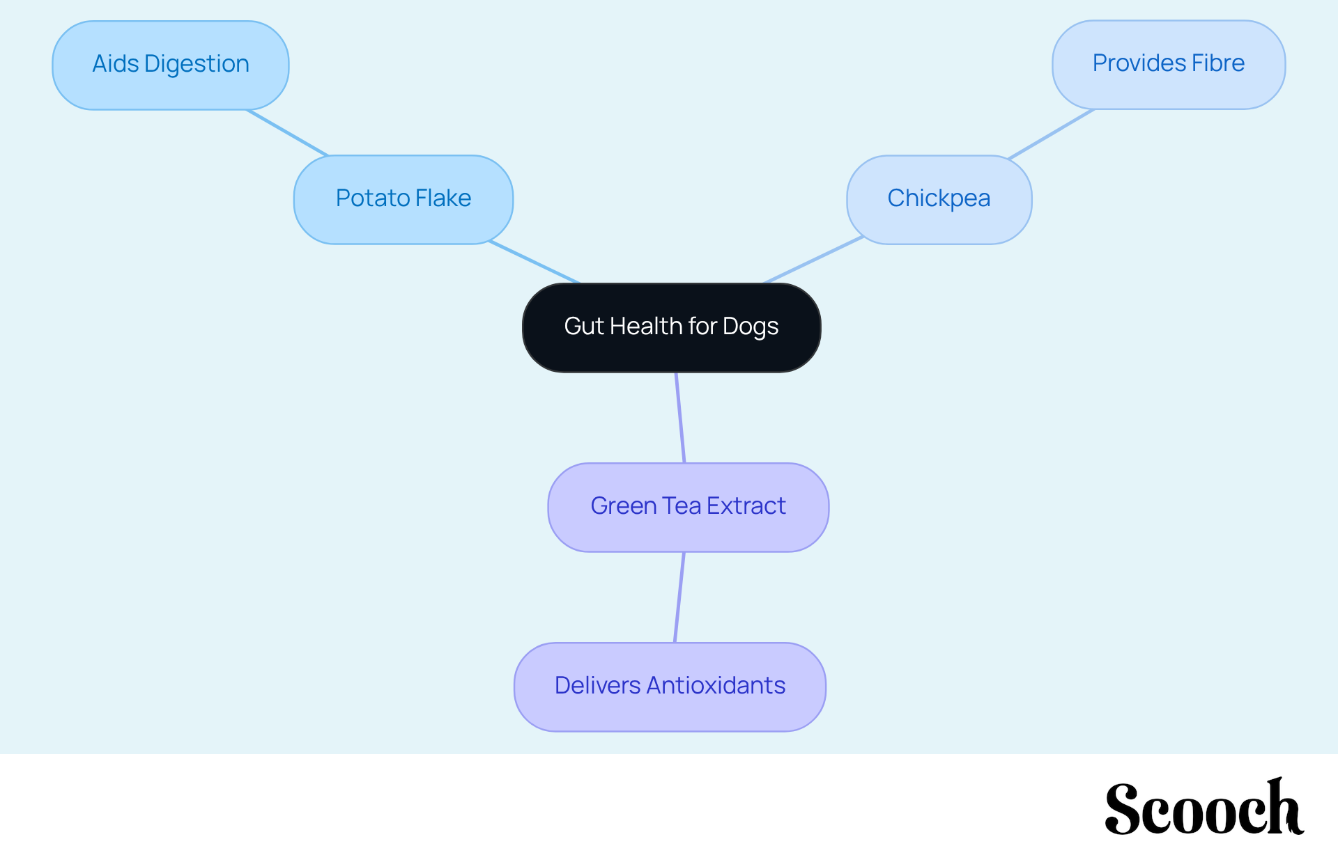 The central idea is your dog's gut health. Each branch represents an ingredient, and the sub-branches explain how each contributes to your dog's well-being. This visual helps you quickly grasp how these components work together for better digestion and overall health.