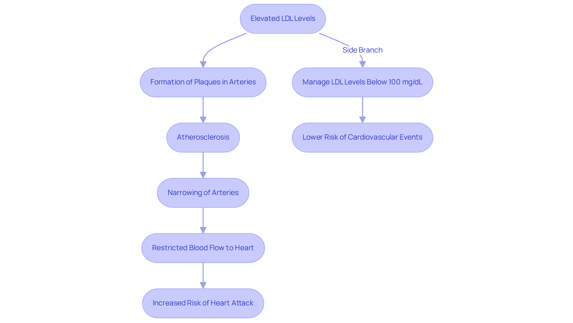 Follow the arrows to see how elevated LDL levels can lead to heart health issues. The side branch shows how managing LDL can help reduce these risks.