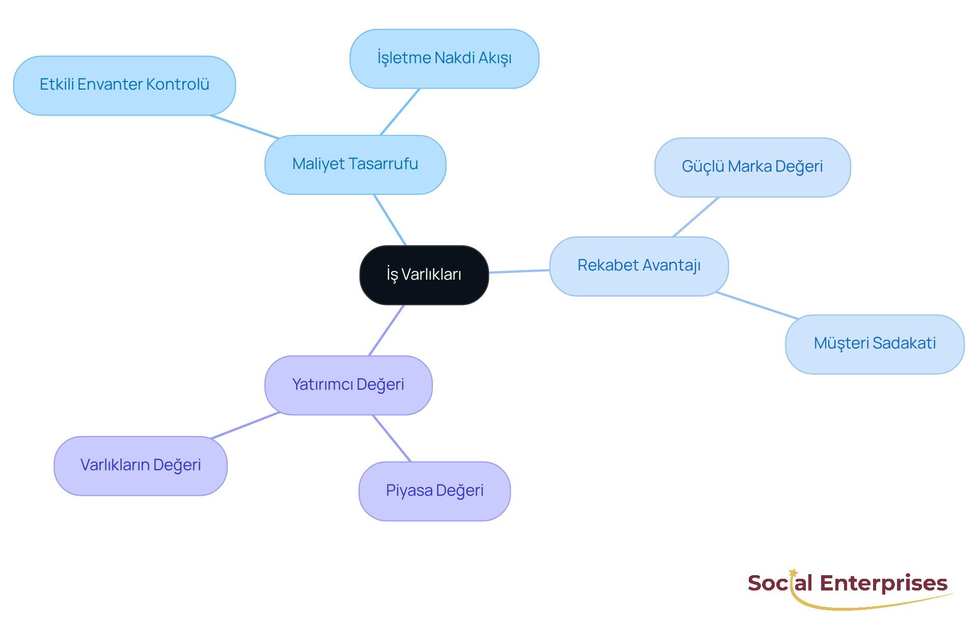 Merkezde iş varlıkları yer alıyor; dallar, bu varlıkların sağladığı avantajları ve yönetim stratejilerini gösteriyor. Renkli dallar, her bir konunun önemini ve bağlantılarını vurguluyor.