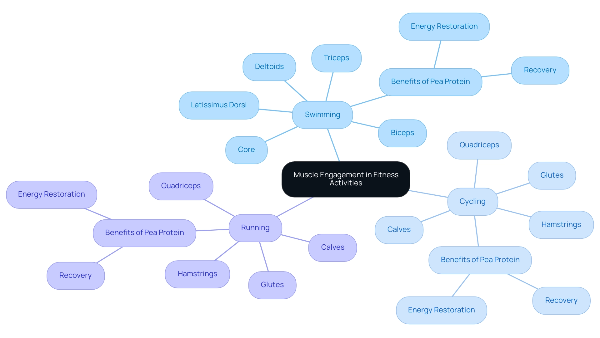 Each branch represents a fitness activity, with sub-branches illustrating the targeted muscle groups. The additional branches indicate the benefits of pea protein for recovery and energy restoration.