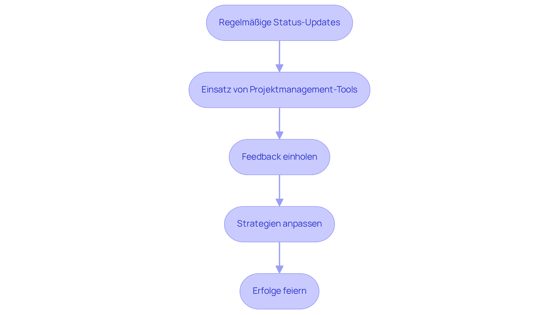 Jeder Schritt zeigt eine Maßnahme, die zur Überwachung und Anpassung von Projekten beiträgt. Folgen Sie den Pfeilen, um zu sehen, wie die Schritte miteinander verbunden sind und in welcher Reihenfolge sie durchgeführt werden sollten.