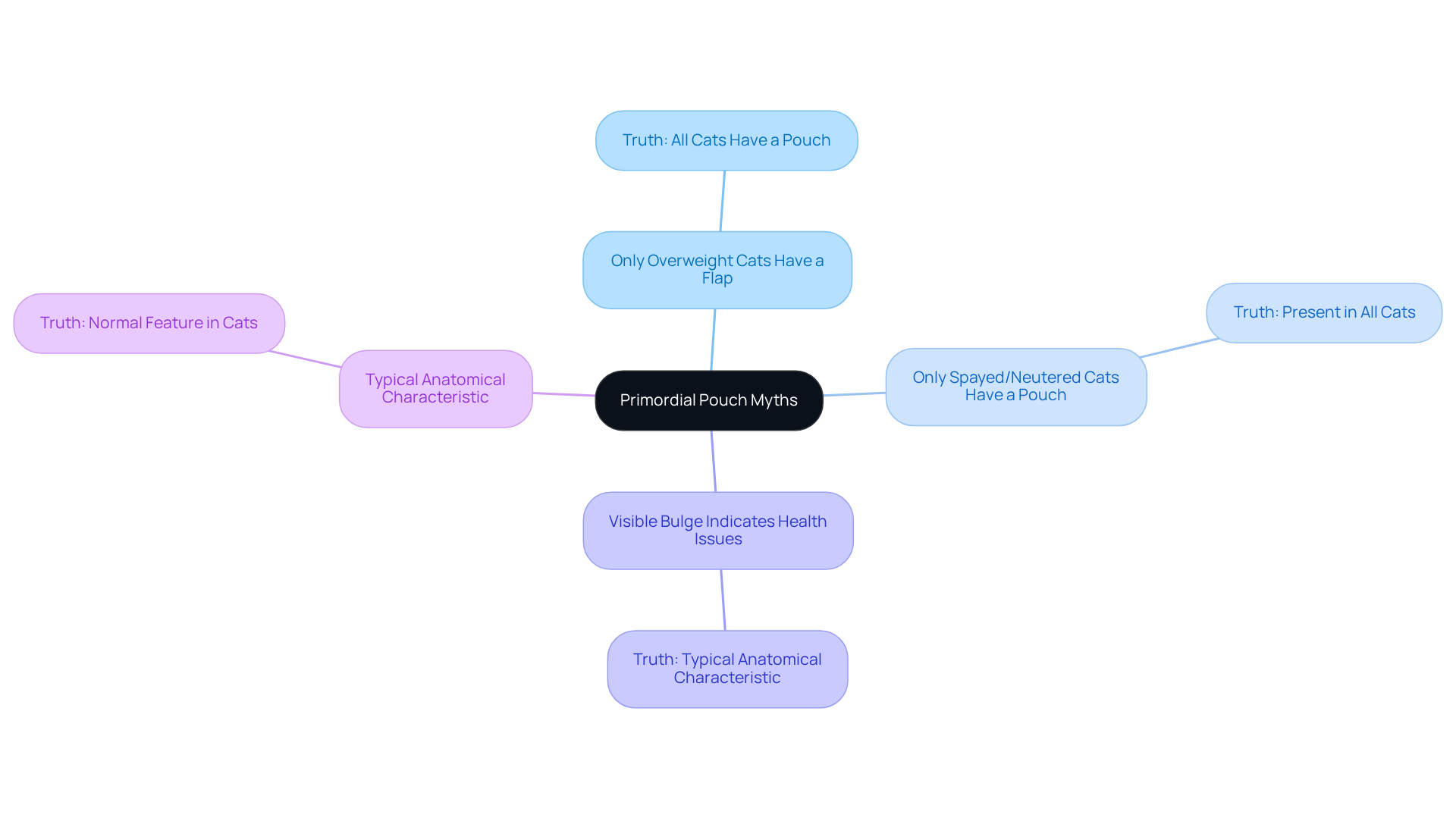 Start at the center with the primordial pouch, then explore the myths and their truths. Each branch helps clarify misunderstandings, making your feline friends' anatomy easier to understand. Start at the center with the primordial pouch, then explore the myths and their truths. Each branch helps clarify misunderstandings, making your feline friends' anatomy easier to understand.