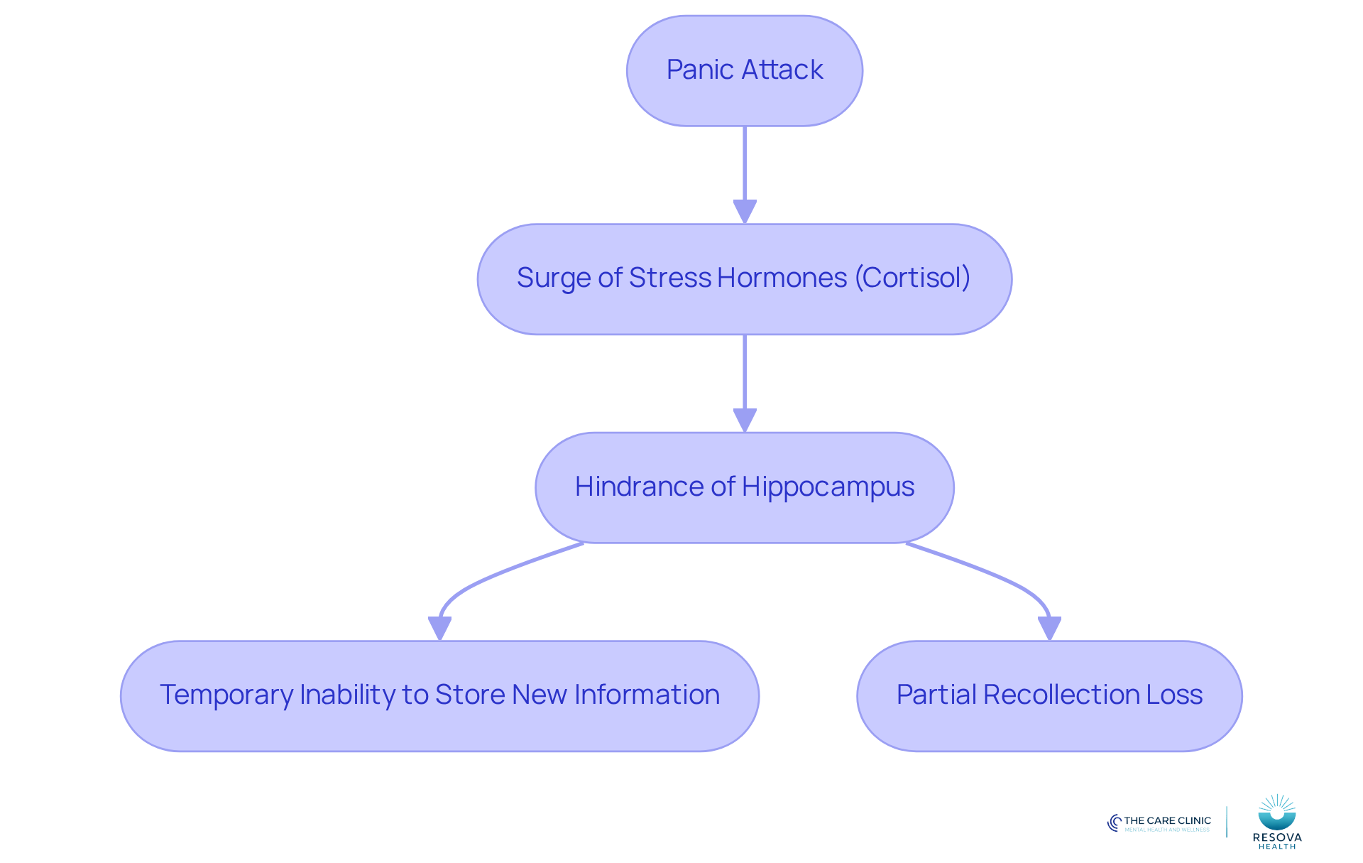 Can Panic Attacks Cause Memory Loss? Understand and Manage It - The ...